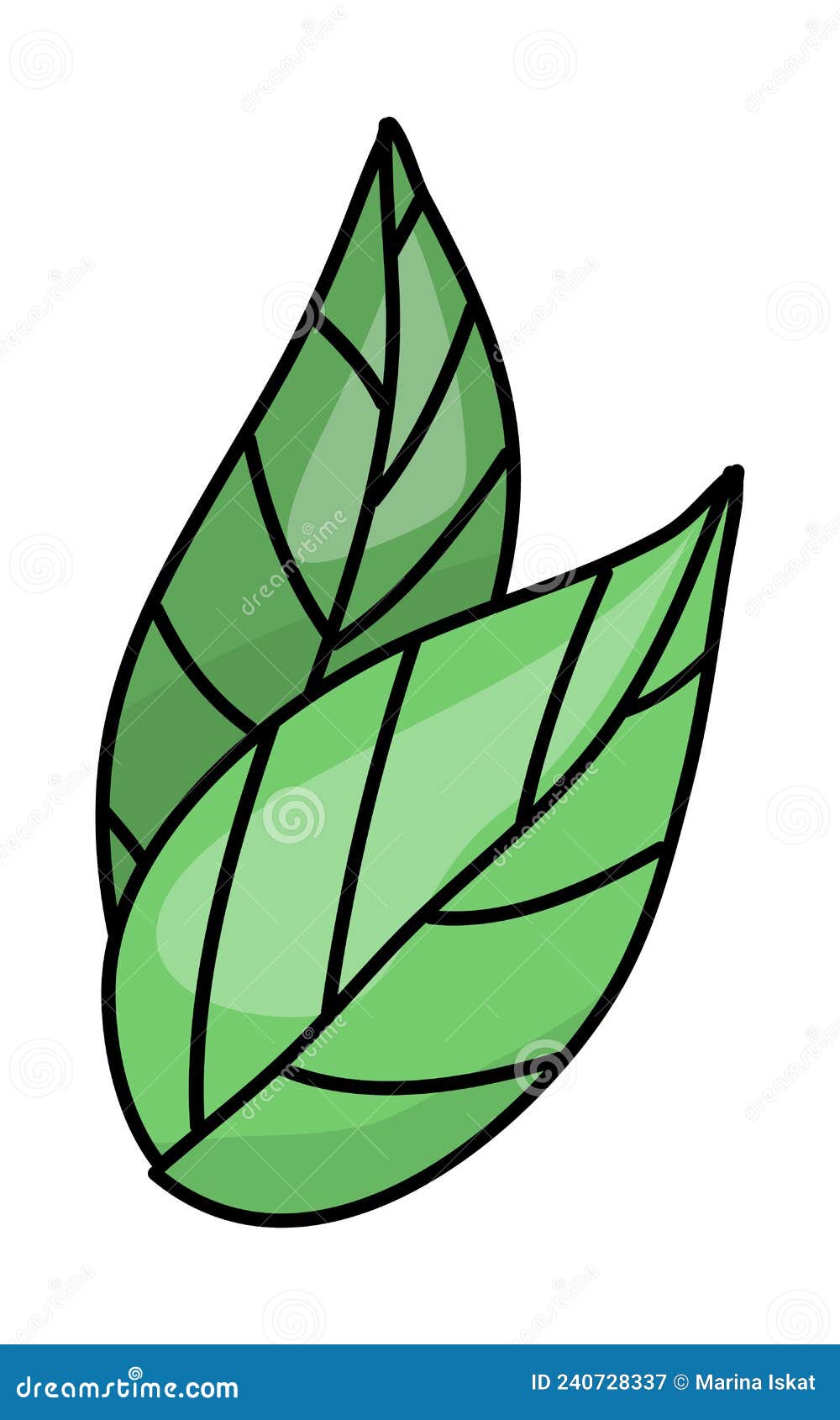 Drawing of Green Leaf on White Background Stock Vector - Illustration ...
