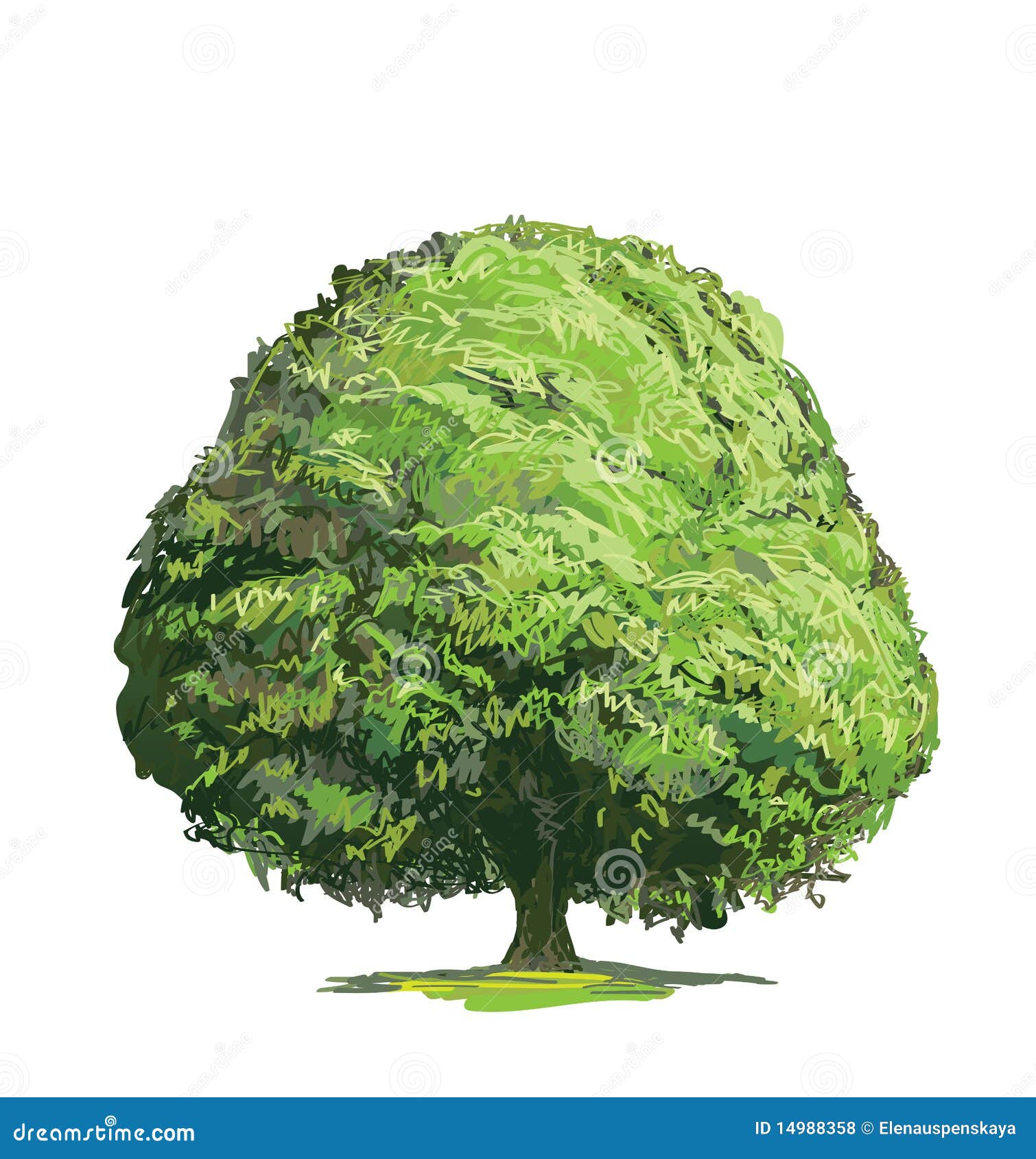 Drawing of Green Tree stock vector. Illustration of full - 14988358