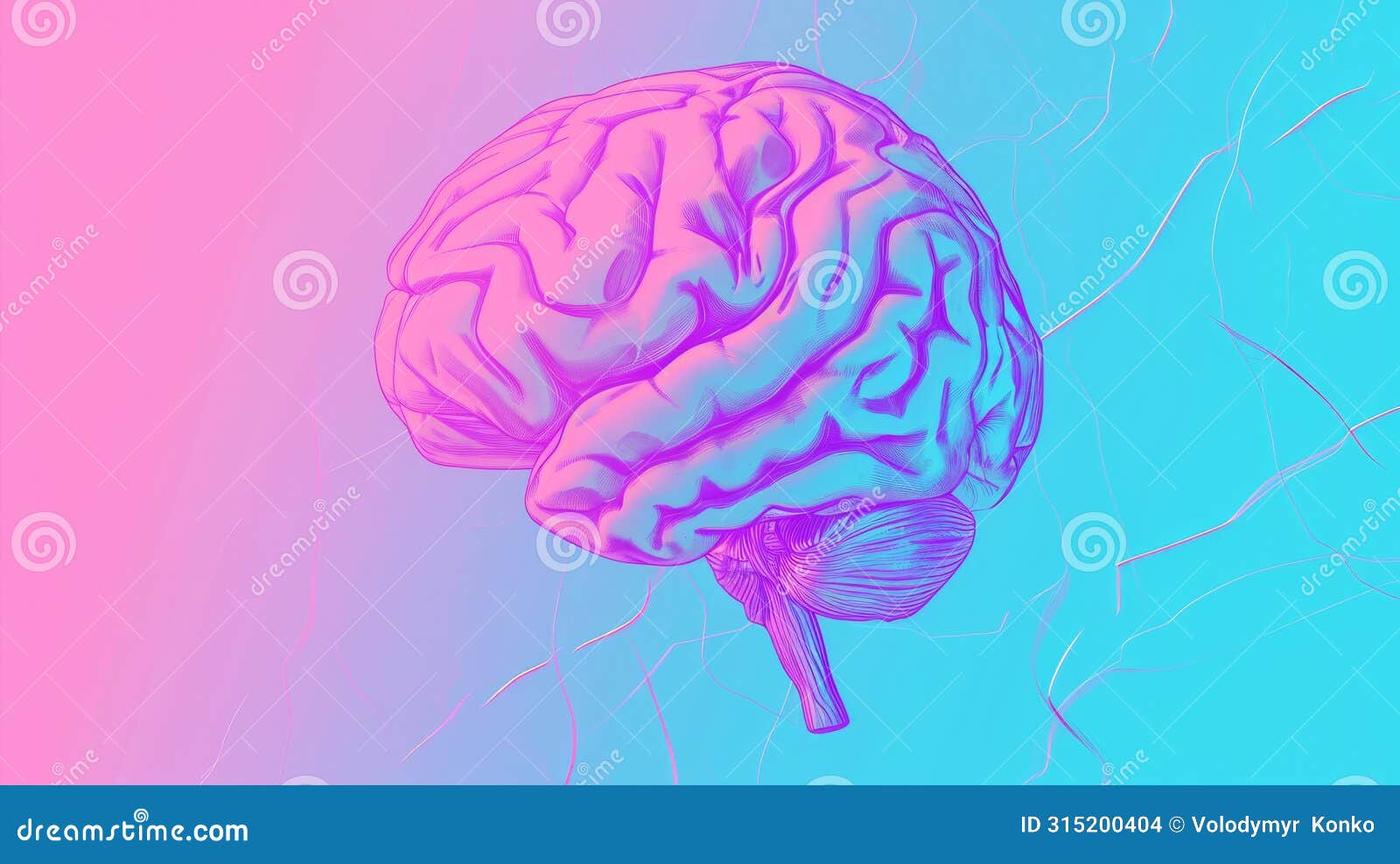 Drawing Human Brain on Blue and Pink Background Stock Photo - Image of ...