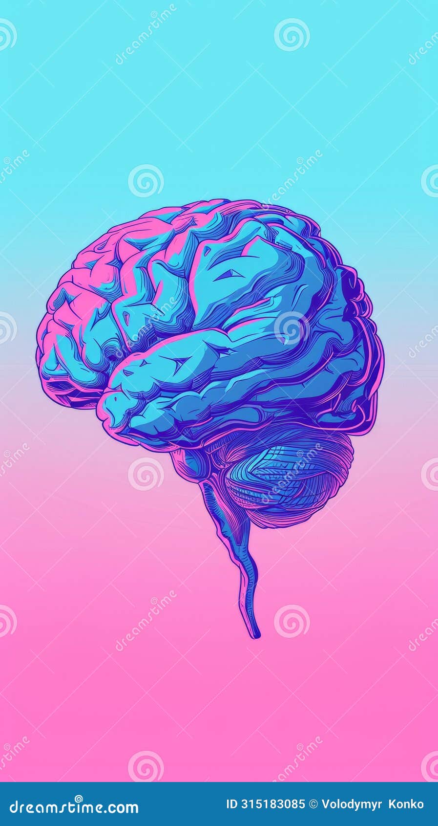 Drawing of Human Brain on Pink and Blue Background Stock Image - Image ...