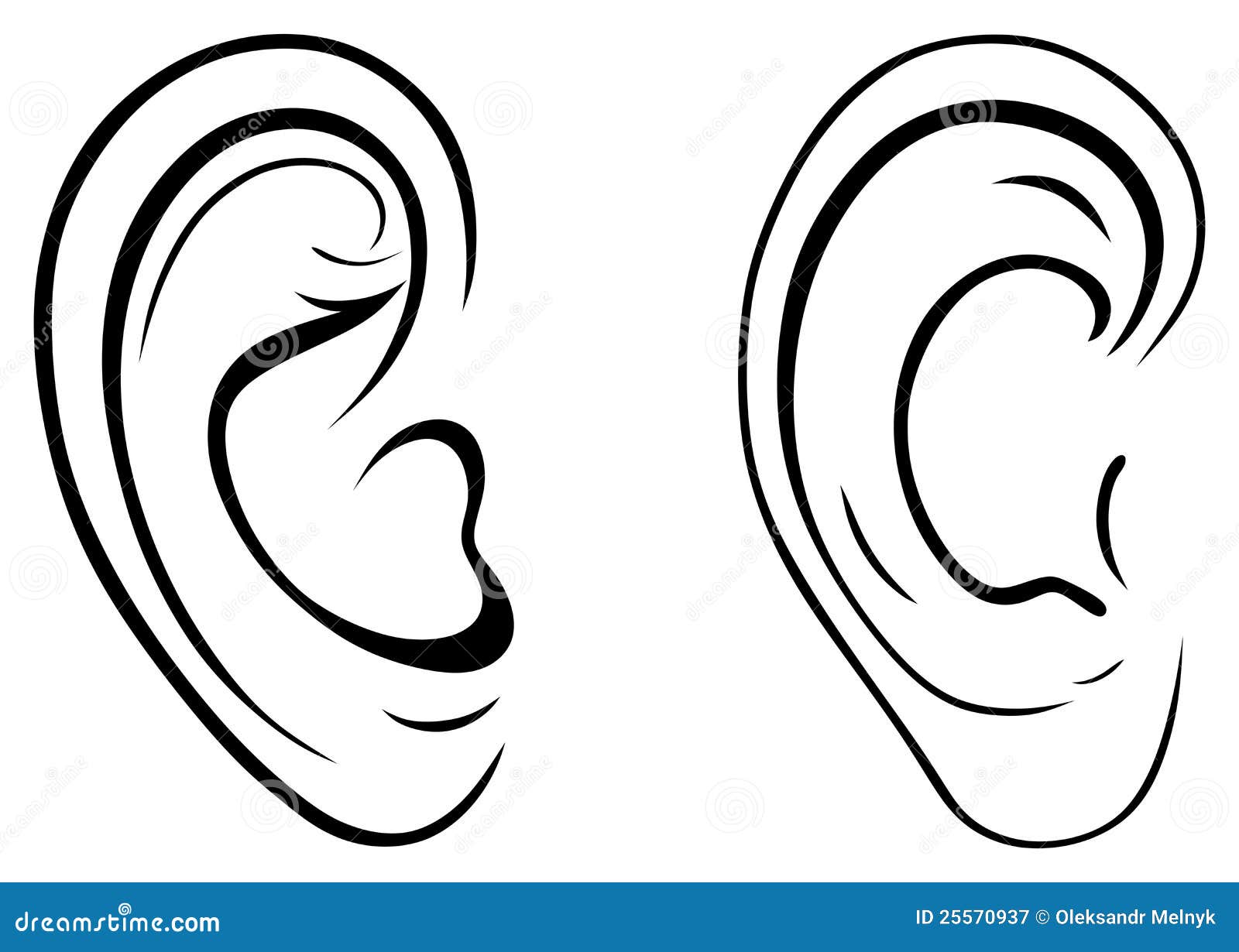 Drawing human ear stock vector. Illustration of grunge - 25570937