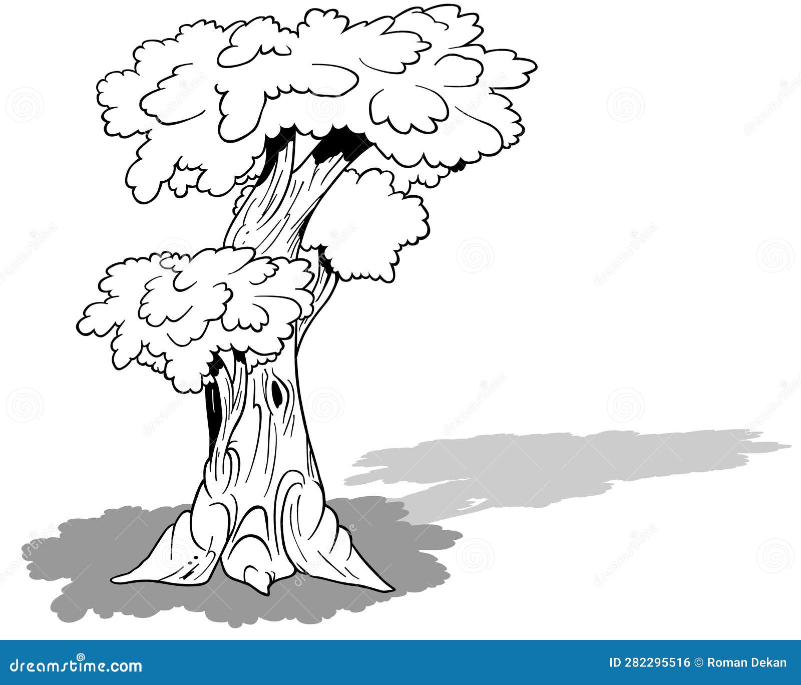 Drawing of a Leafy Tree with Three Crowns Stock Vector - Illustration ...