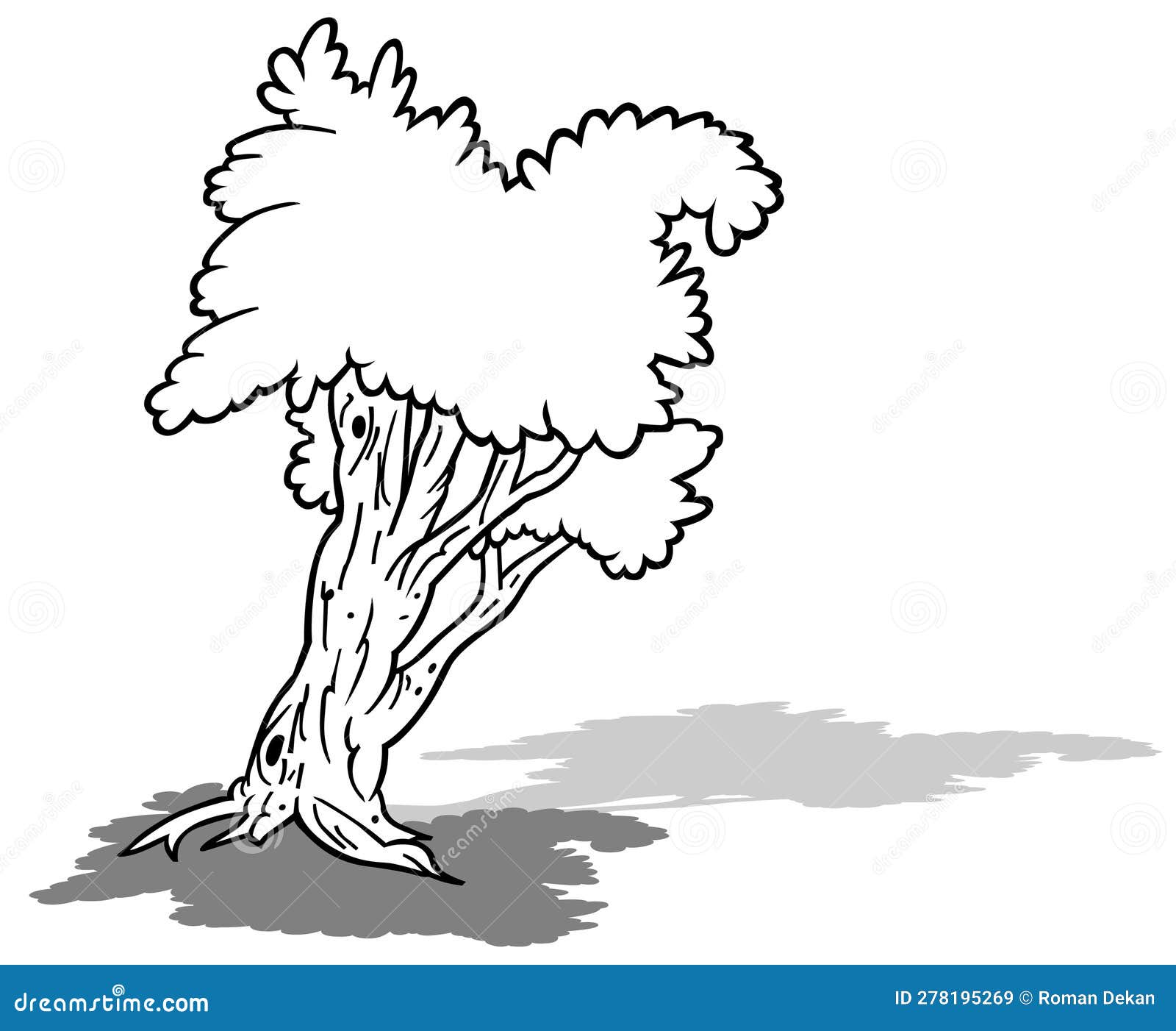 Drawing of a Leafy Tree with Two Treetops Stock Vector - Illustration ...