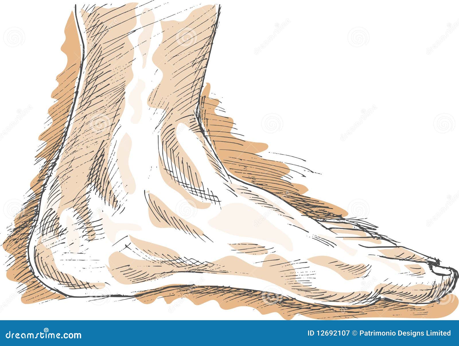 Drawing of left human foot stock illustration. Illustration of nail ...