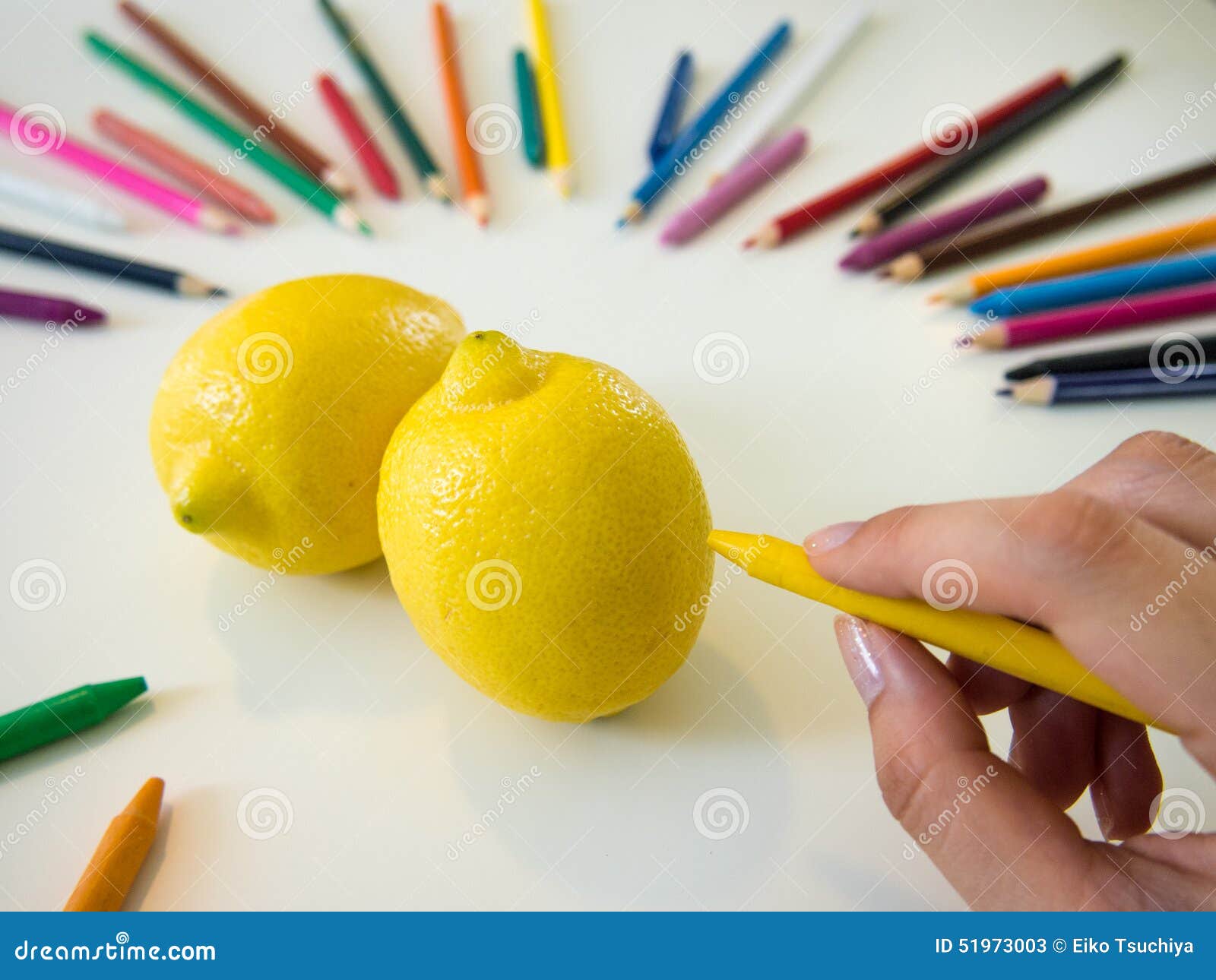 Drawing Lemon stock image. Image of inspiration, fresh - 51973003