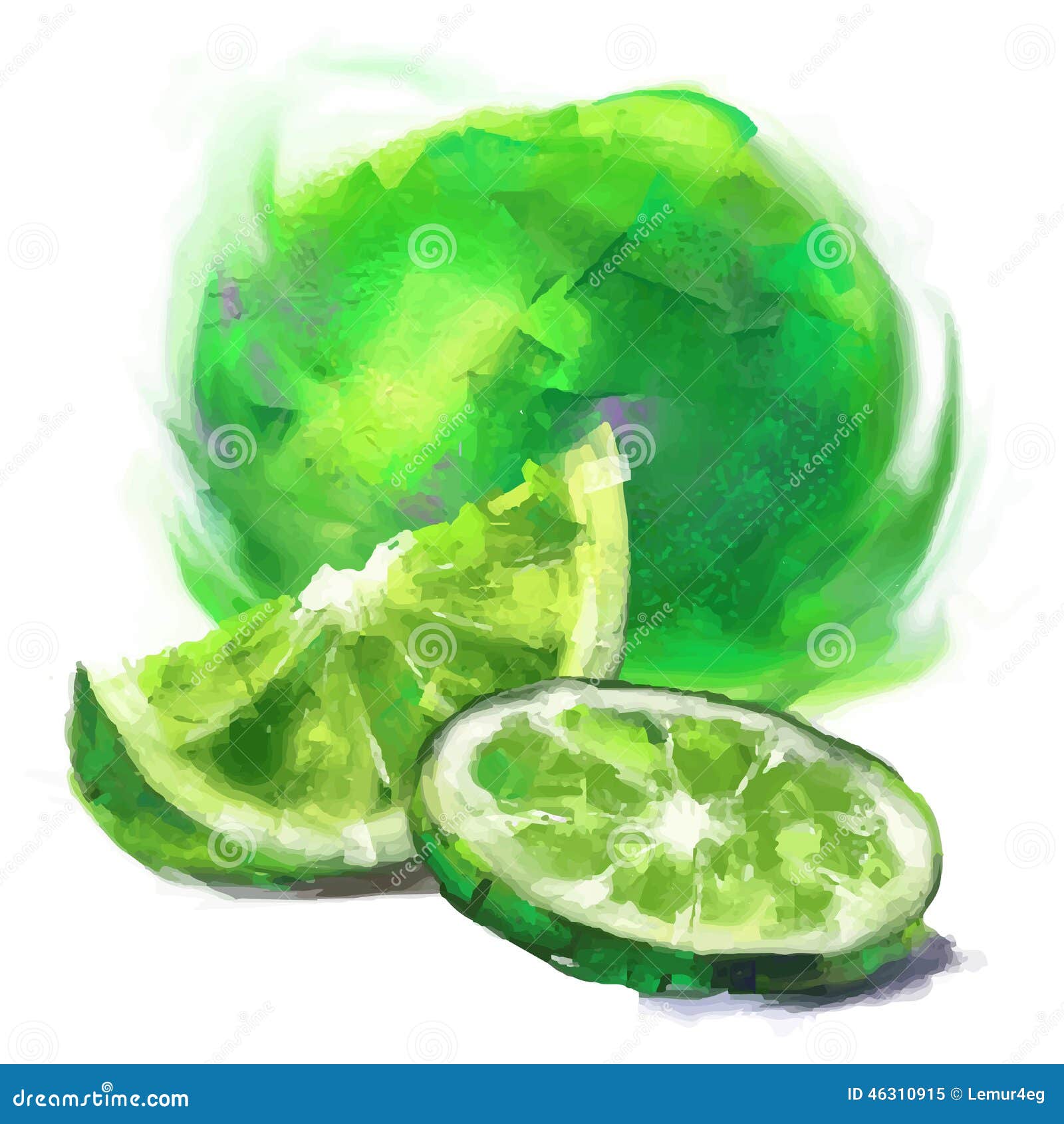 Drawing lime with a slice stock vector. Illustration of healthy - 46310915