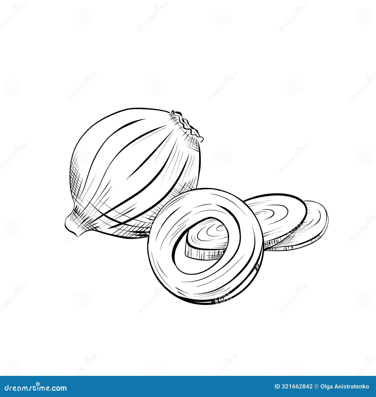 Drawing Lines. Art Line - Onion, Cut into Rings Stock Vector ...