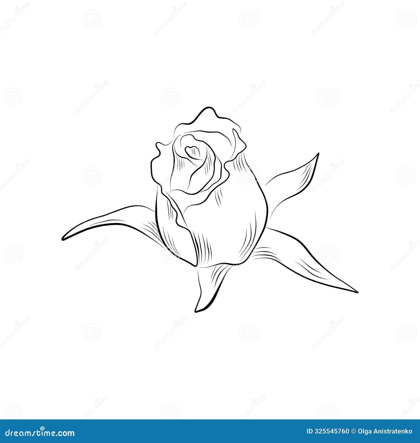 Rosebud Cartoons, Illustrations & Vector Stock Images - 6296 Pictures ...