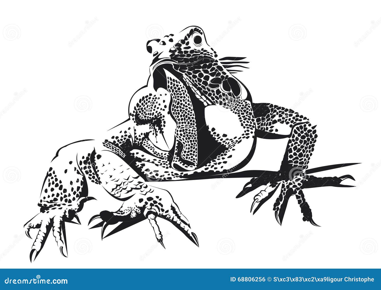 Drawing Lizard Black and White Stock Vector - Illustration of medieval ...