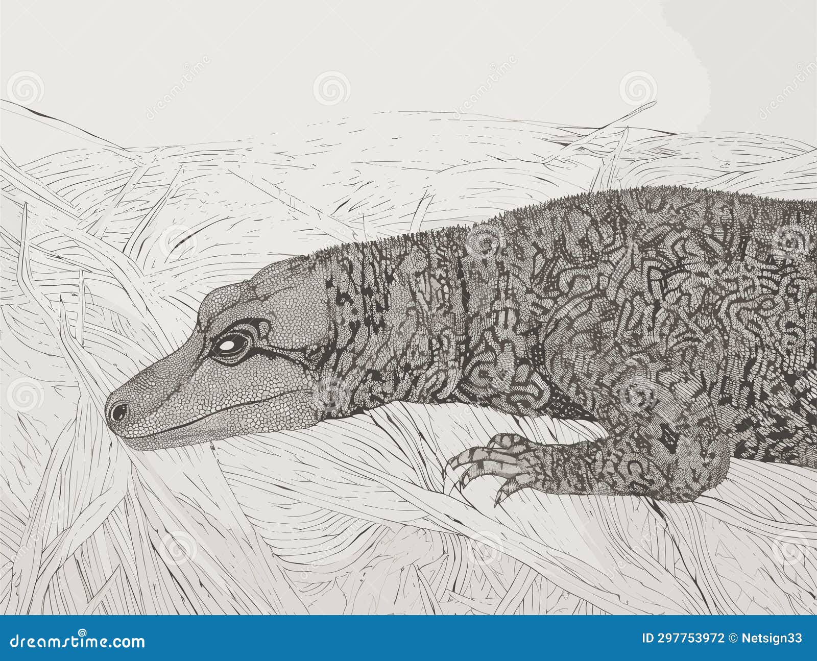Goanna Basks Stock Illustrations – 4 Goanna Basks Stock Illustrations ...