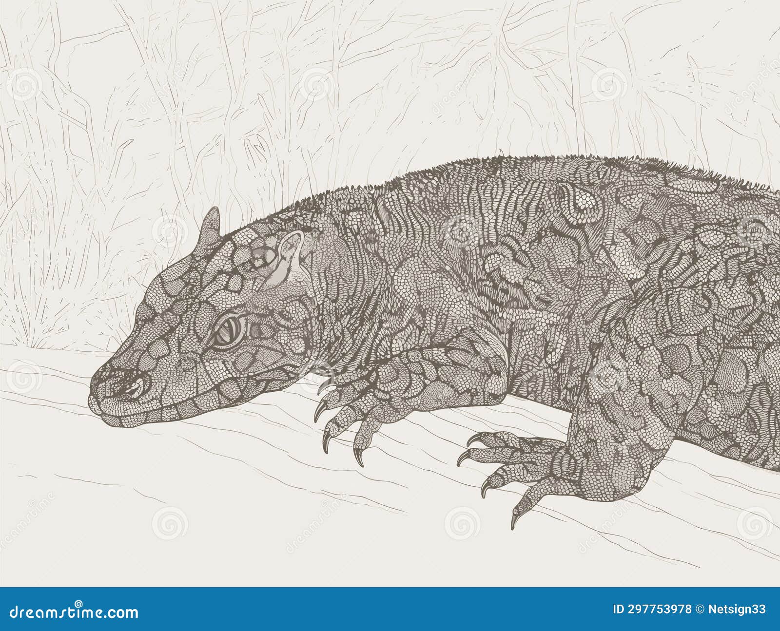 A Drawing of a Lizard - a Goanna Basks in the Warmth of the Outdoors ...