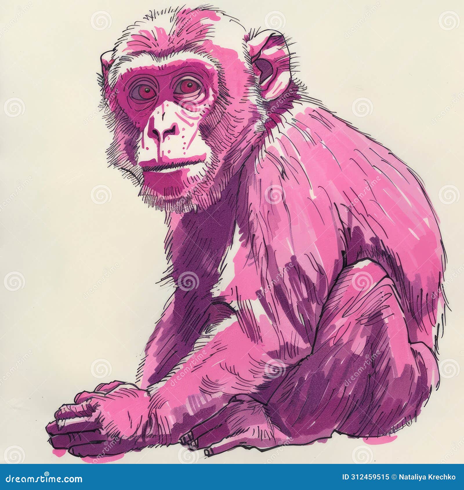 Drawing of a Monkey Made with a Pink Water Marker on Paper Stock Image ...