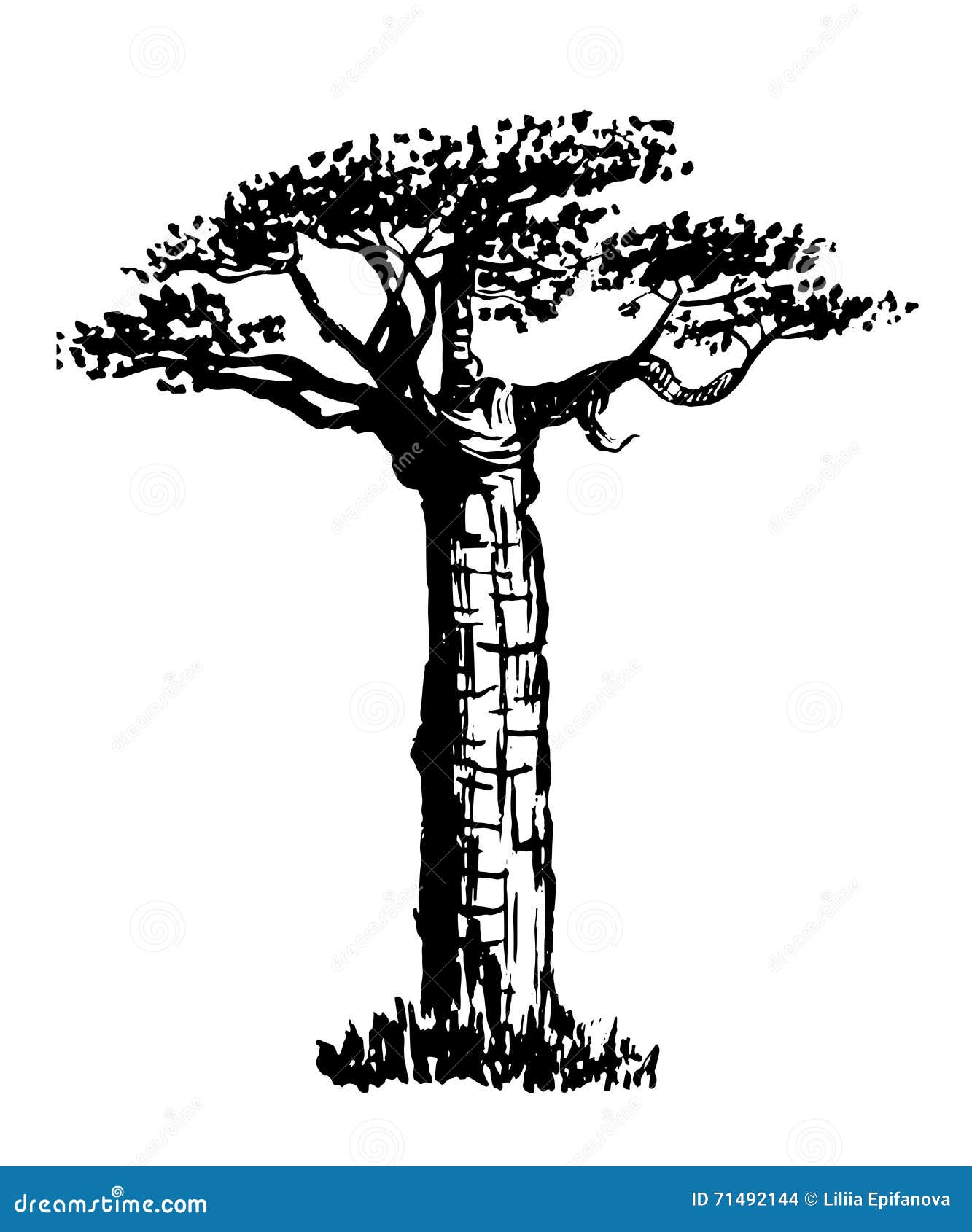Drawing Old Bottle Tree Sketch Illustration Stock Vector - Illustration ...