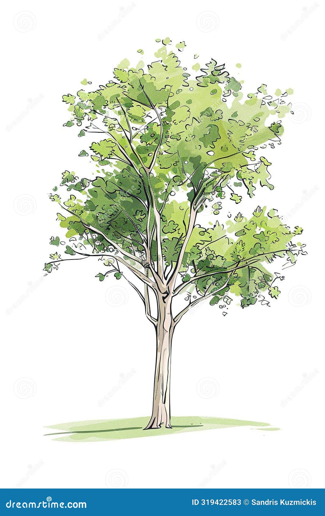 Sycamore Tree Silhouette, Made With Generative AI Stock Photography ...