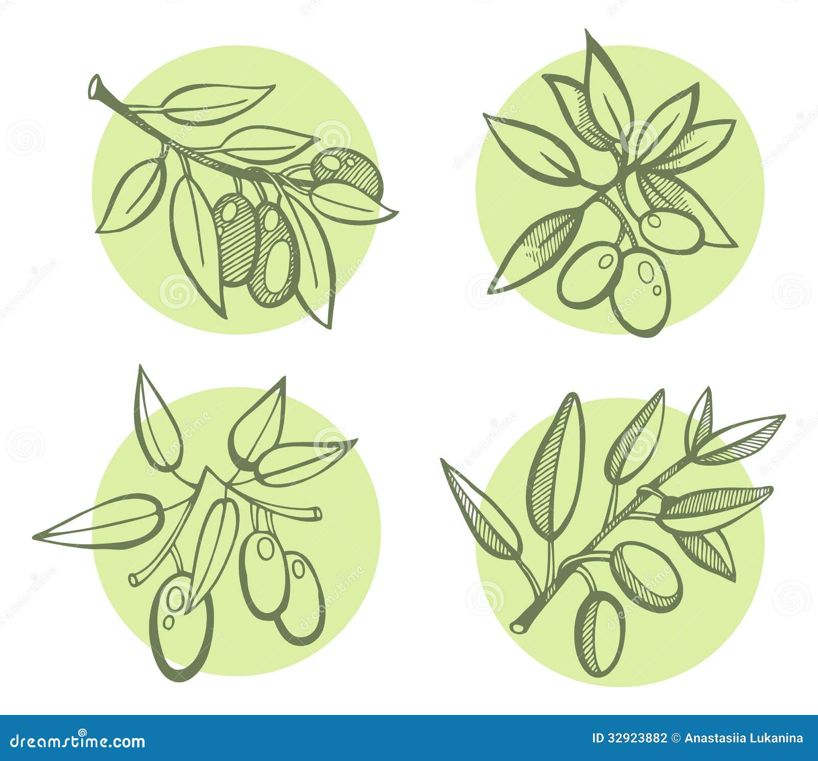 Drawing Olives set stock vector. Illustration of graphic - 32923882