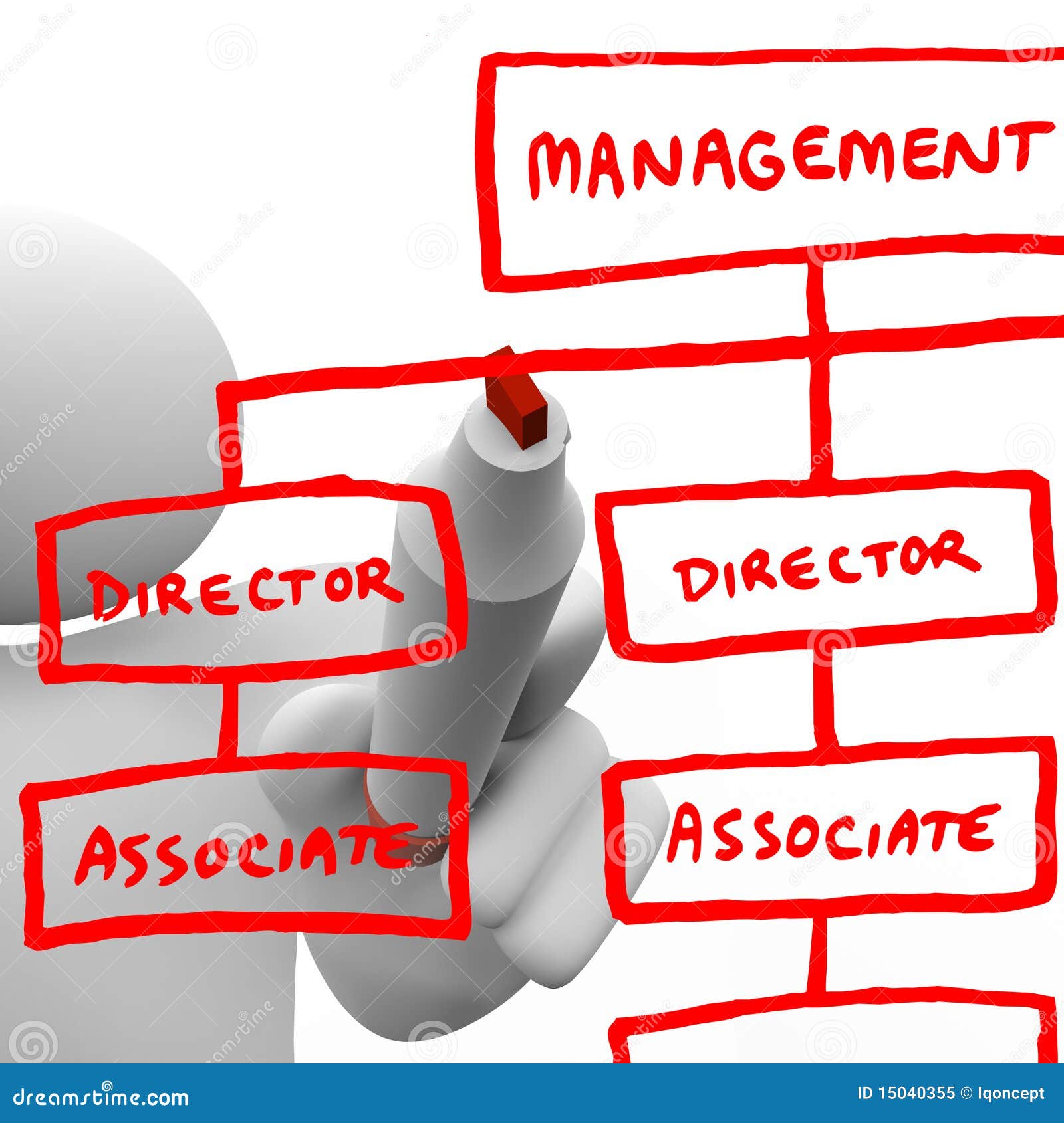 Drawing Organizational Chart on Board Stock Illustration - Illustration ...