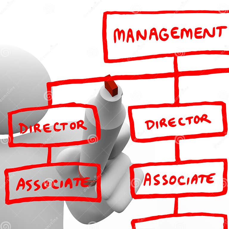 Drawing Organizational Chart on Board Stock Illustration - Illustration ...