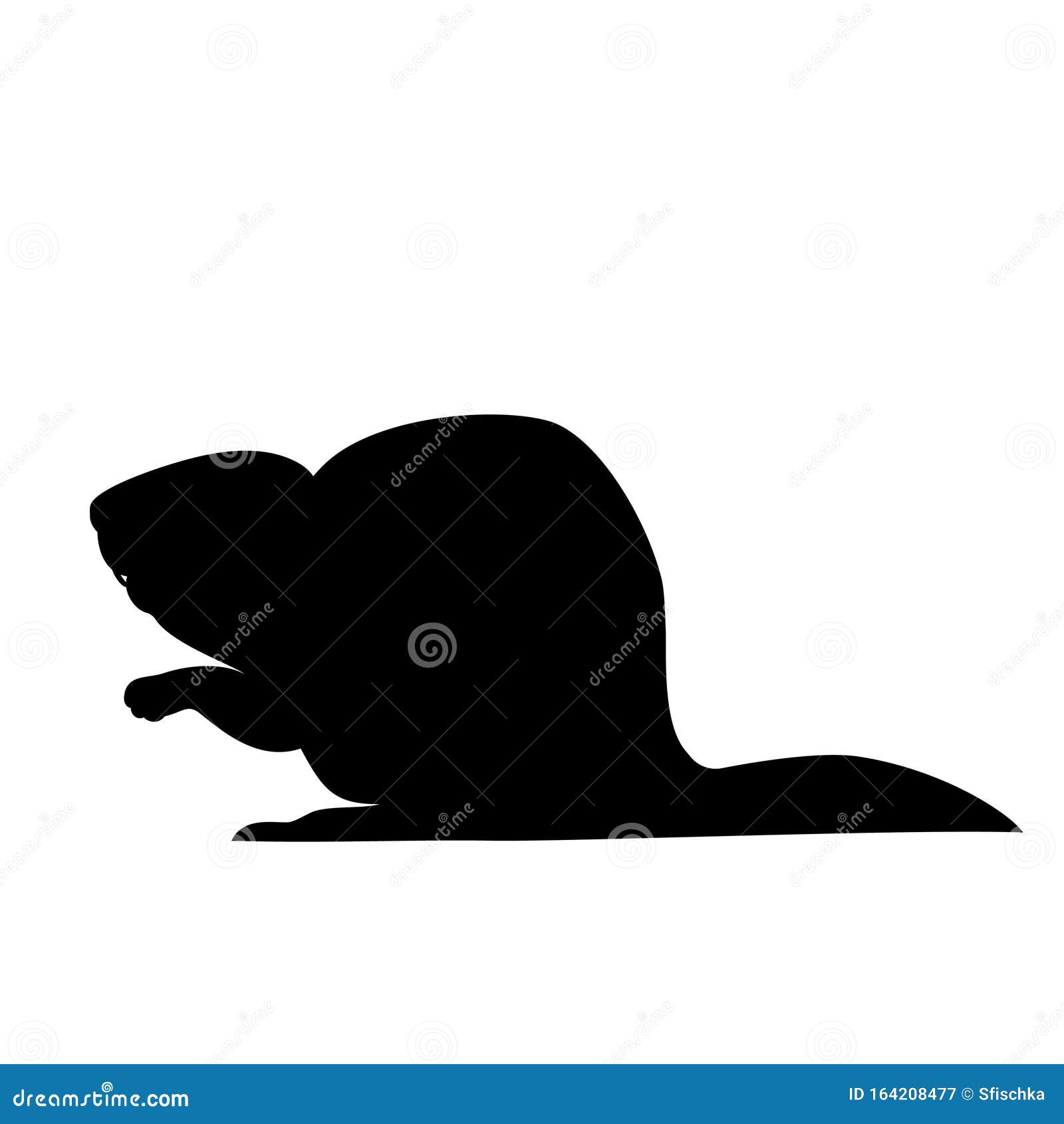 Drawing outline beaver stock vector. Illustration of animal - 164208477