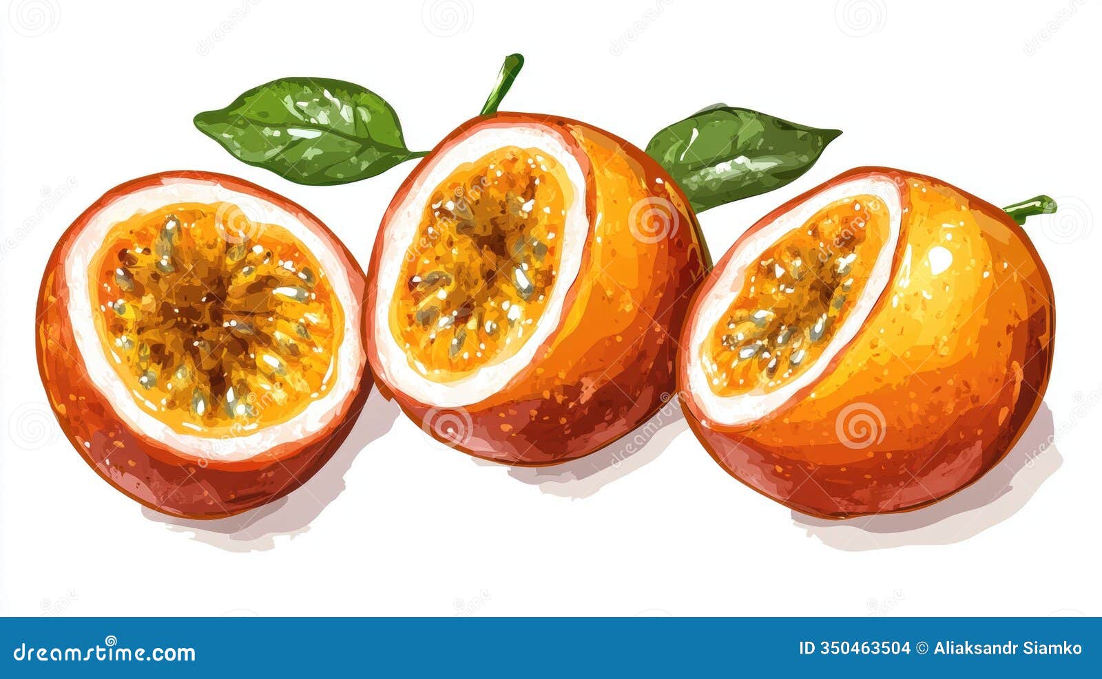A Drawing of a Passion Fruit with a Slice Cut in Half Stock ...