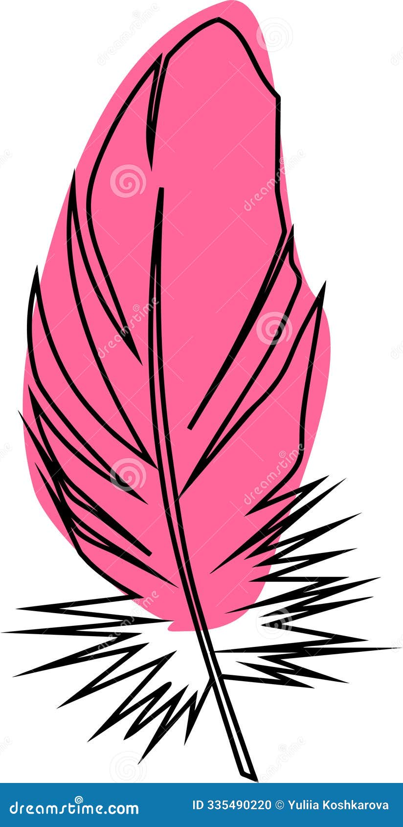 Drawing of a Pink Bird Feather with a Black Outline, Decorative Element ...
