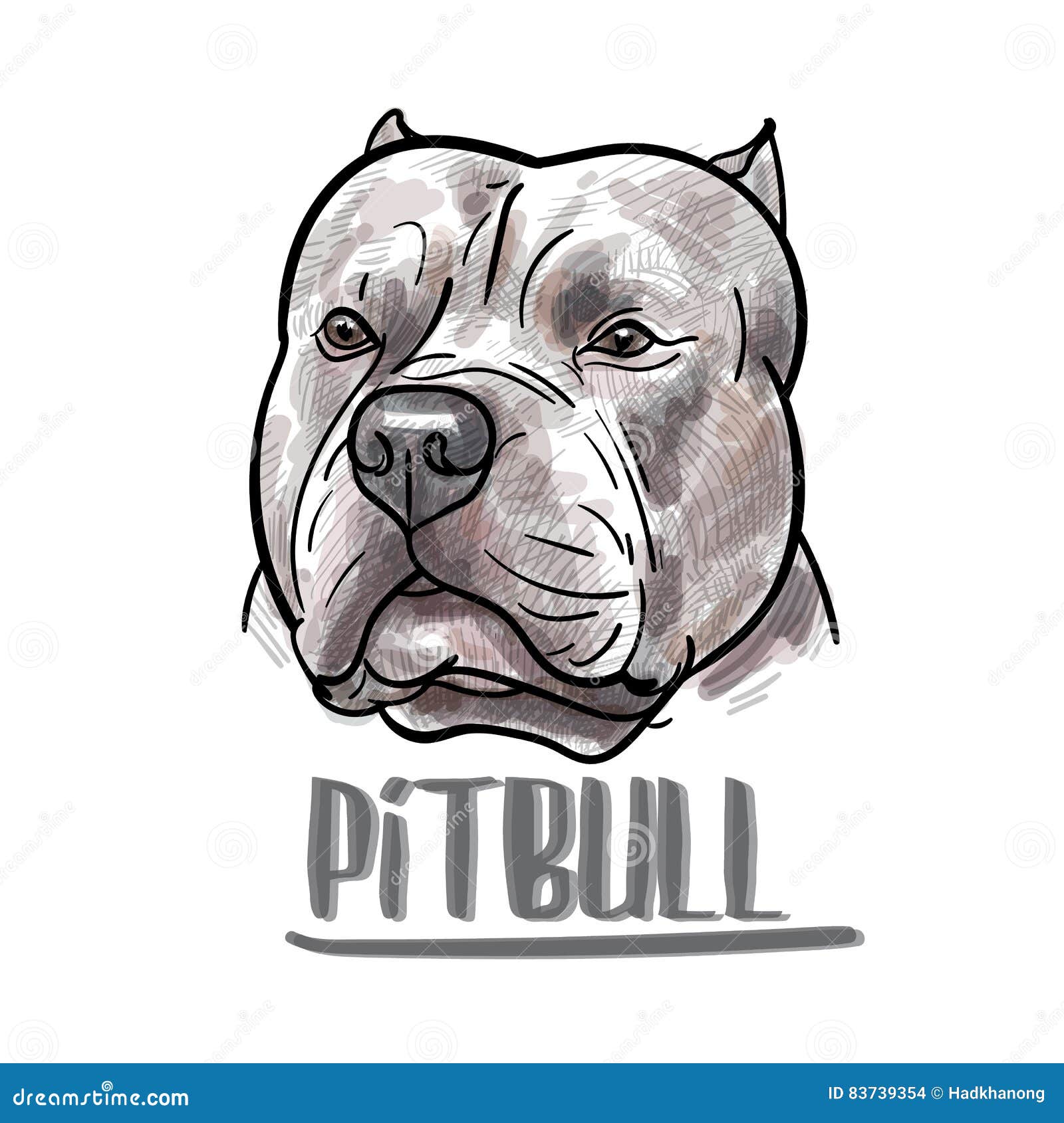 How To Draw A Pitbull Head