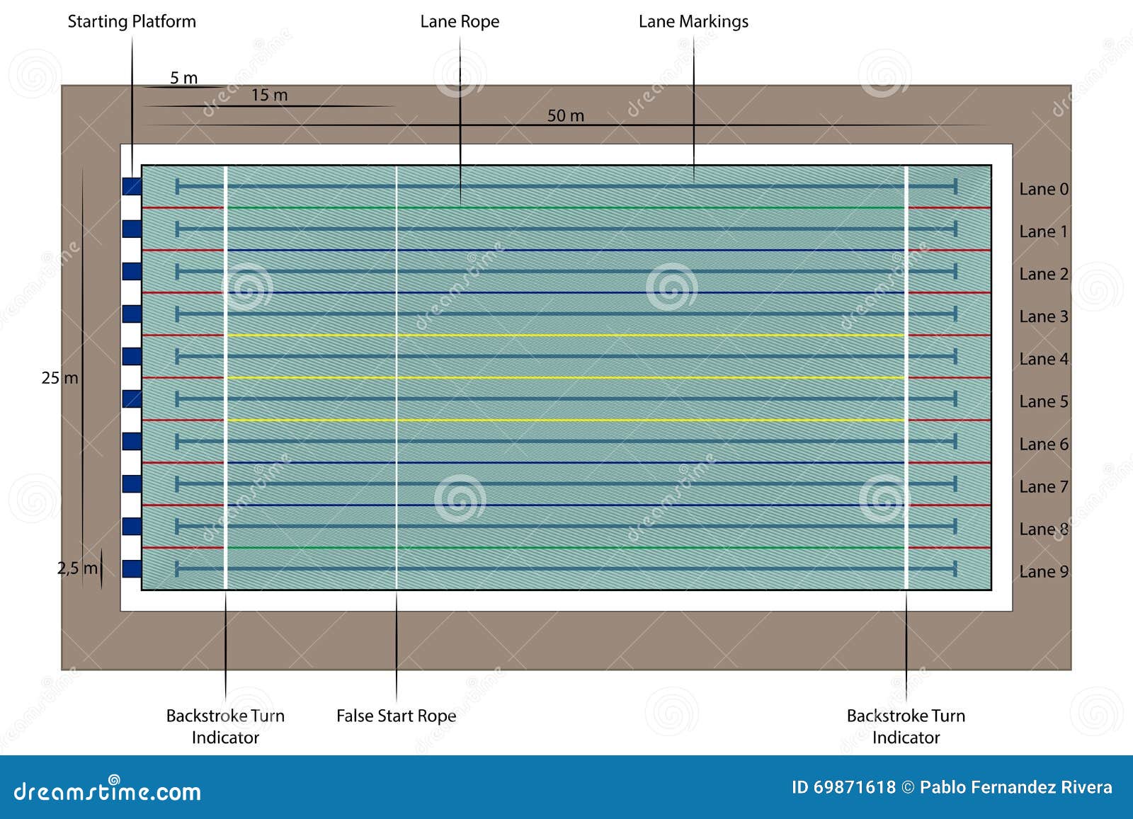 Olympic Swimming Pool Drawing