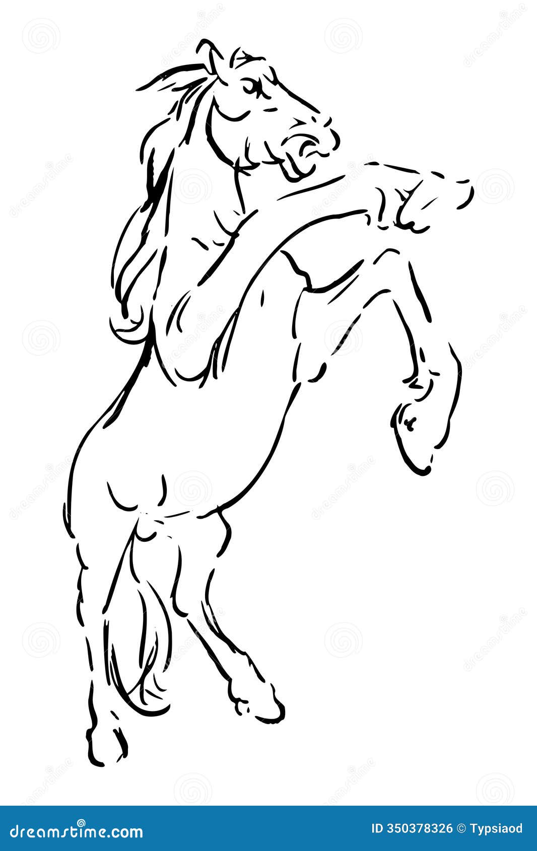 Drawing of prancing horse. stock vector. Illustration of element ...