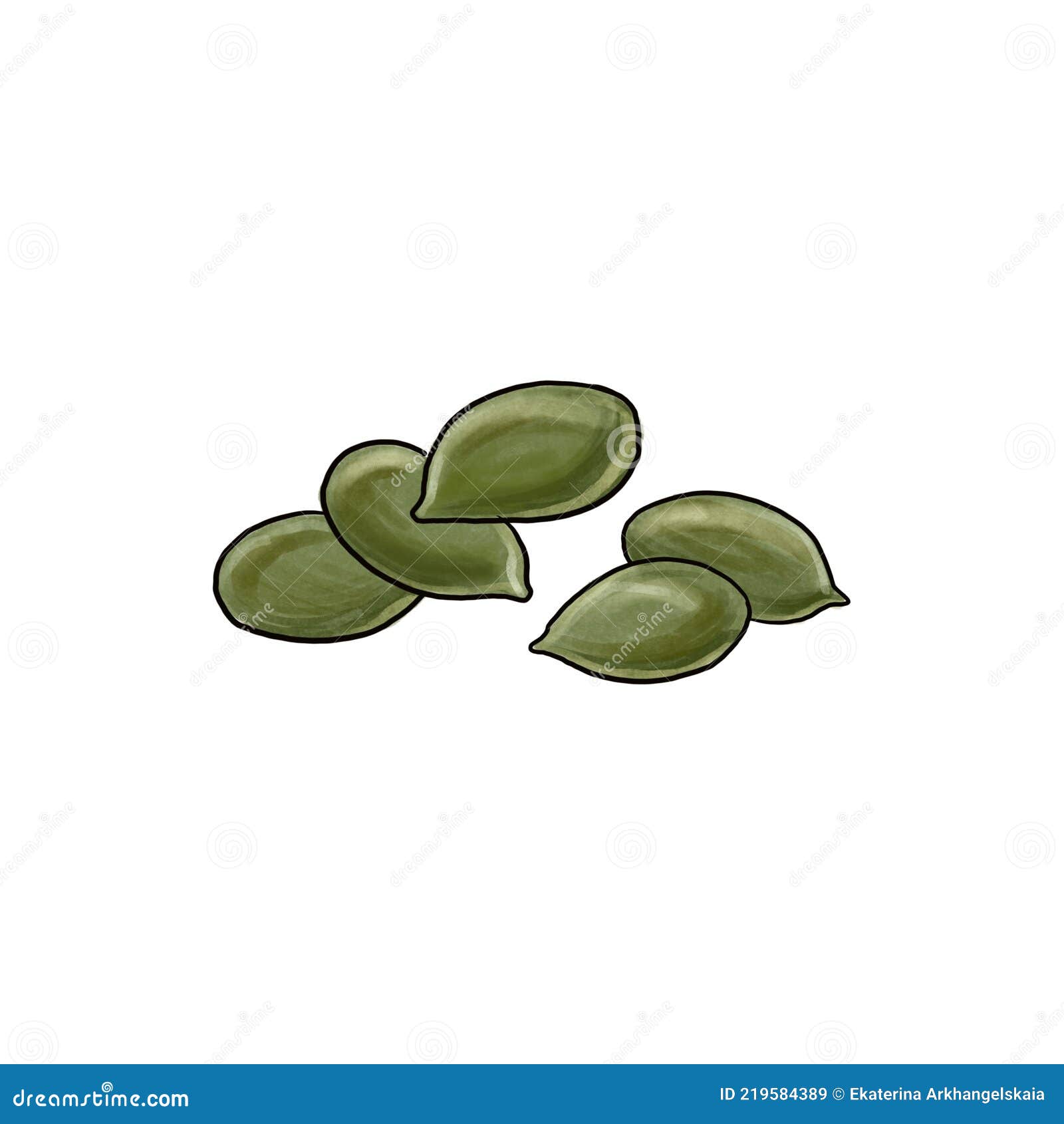 Drawing pumpkin seeds stock illustration. Illustration of seeds - 219584389