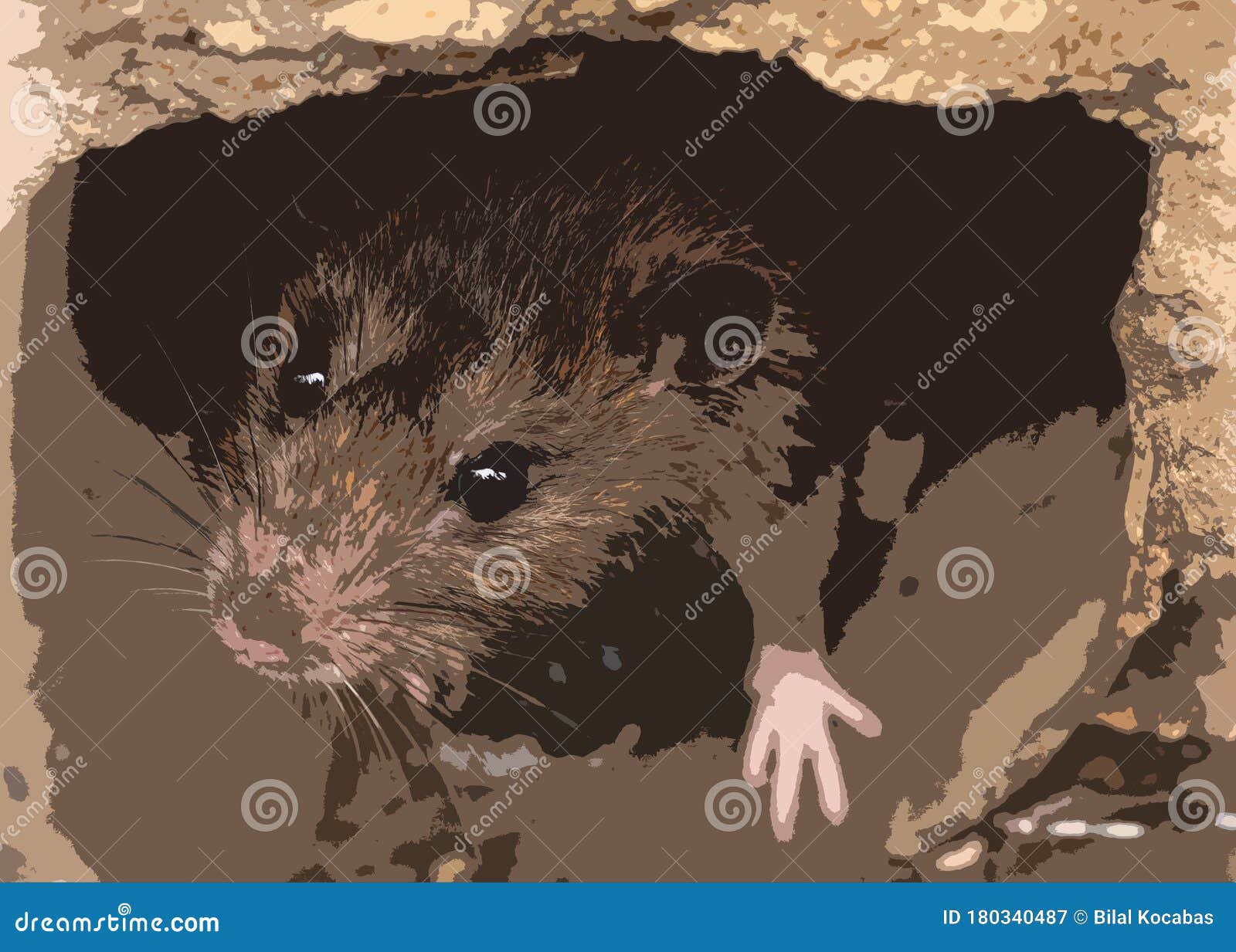 Drawing of rat on a sewer stock image. Image of dark - 180340487