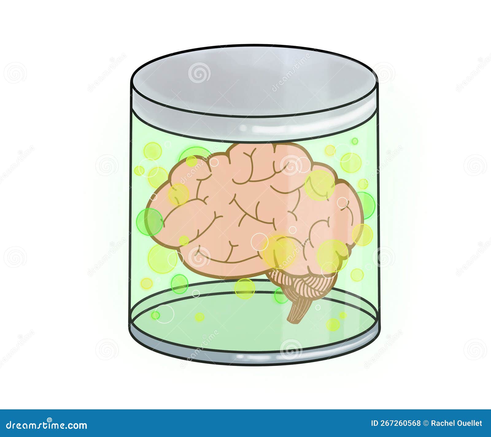 Brain In A Jar For Neuroscience Stock Illustration Illustration Of Drawn Glass 267260568