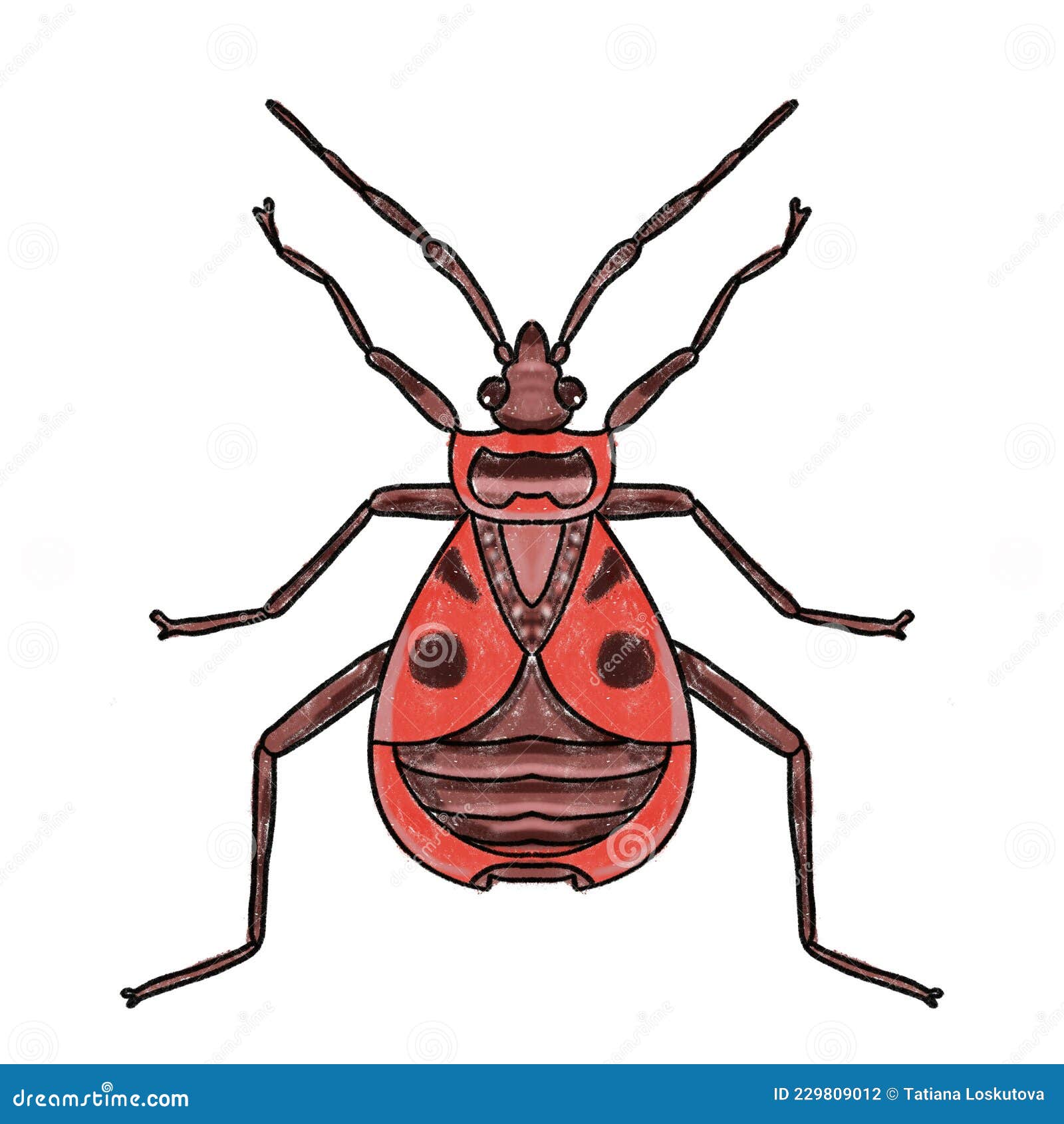Drawing of the Red Bug Illustration Stock Illustration - Illustration ...