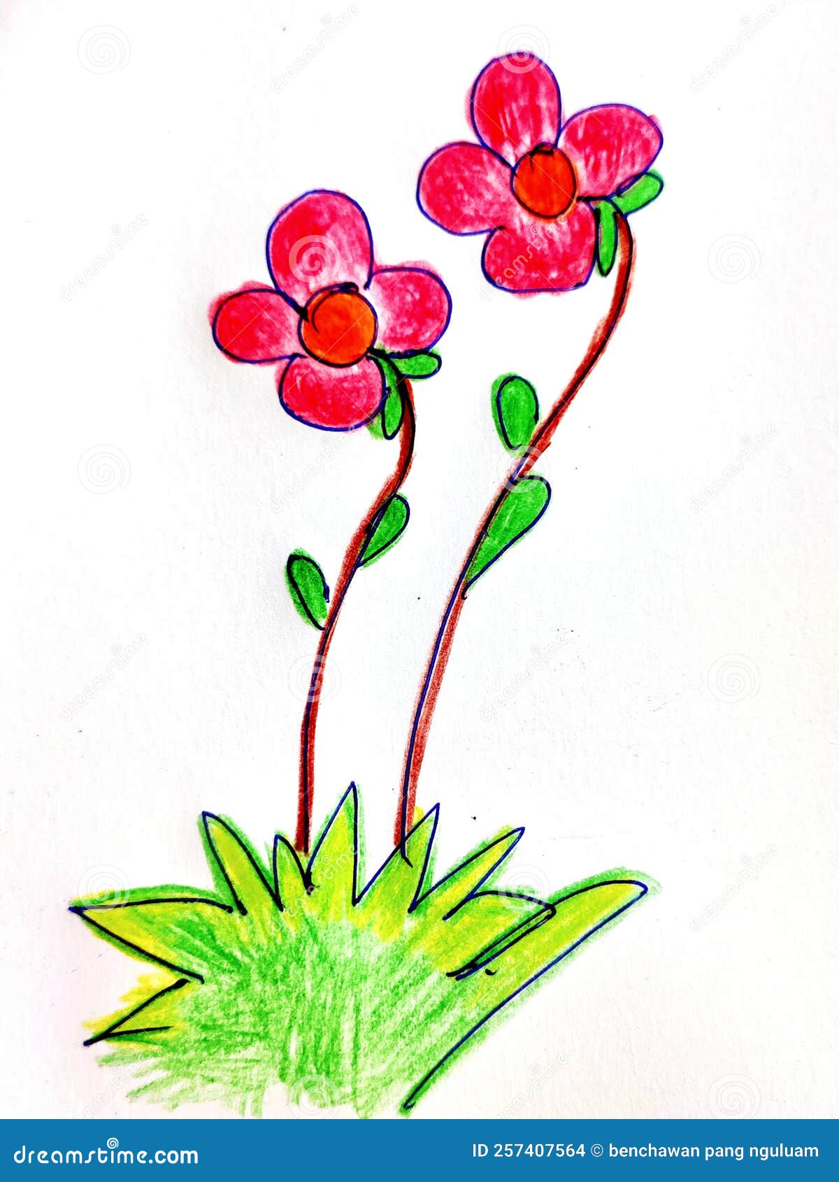 Drawing red flower stock illustration. Illustration of fruit - 257407564