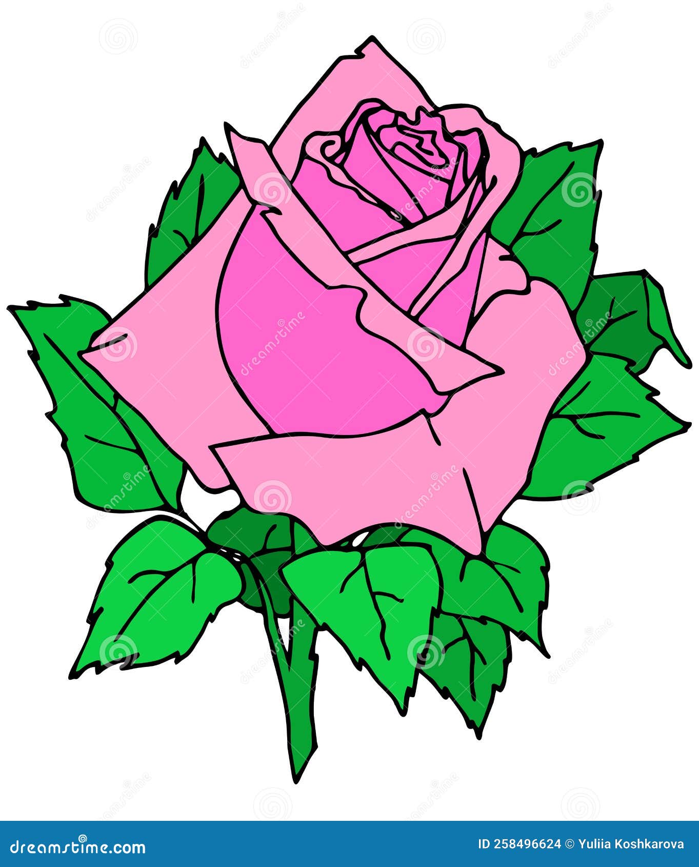 Drawing Rose Branch with Pink Flower and Leaves, Isolated Element Stock ...