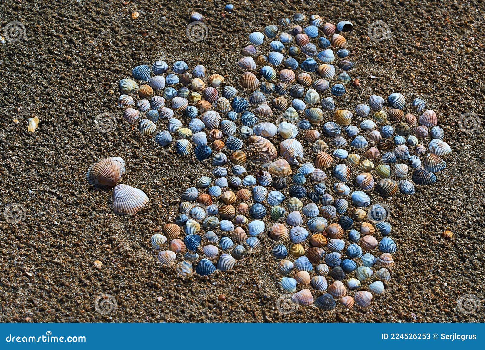 Drawing in the sand stock image. Image of shore, exotic - 224526253