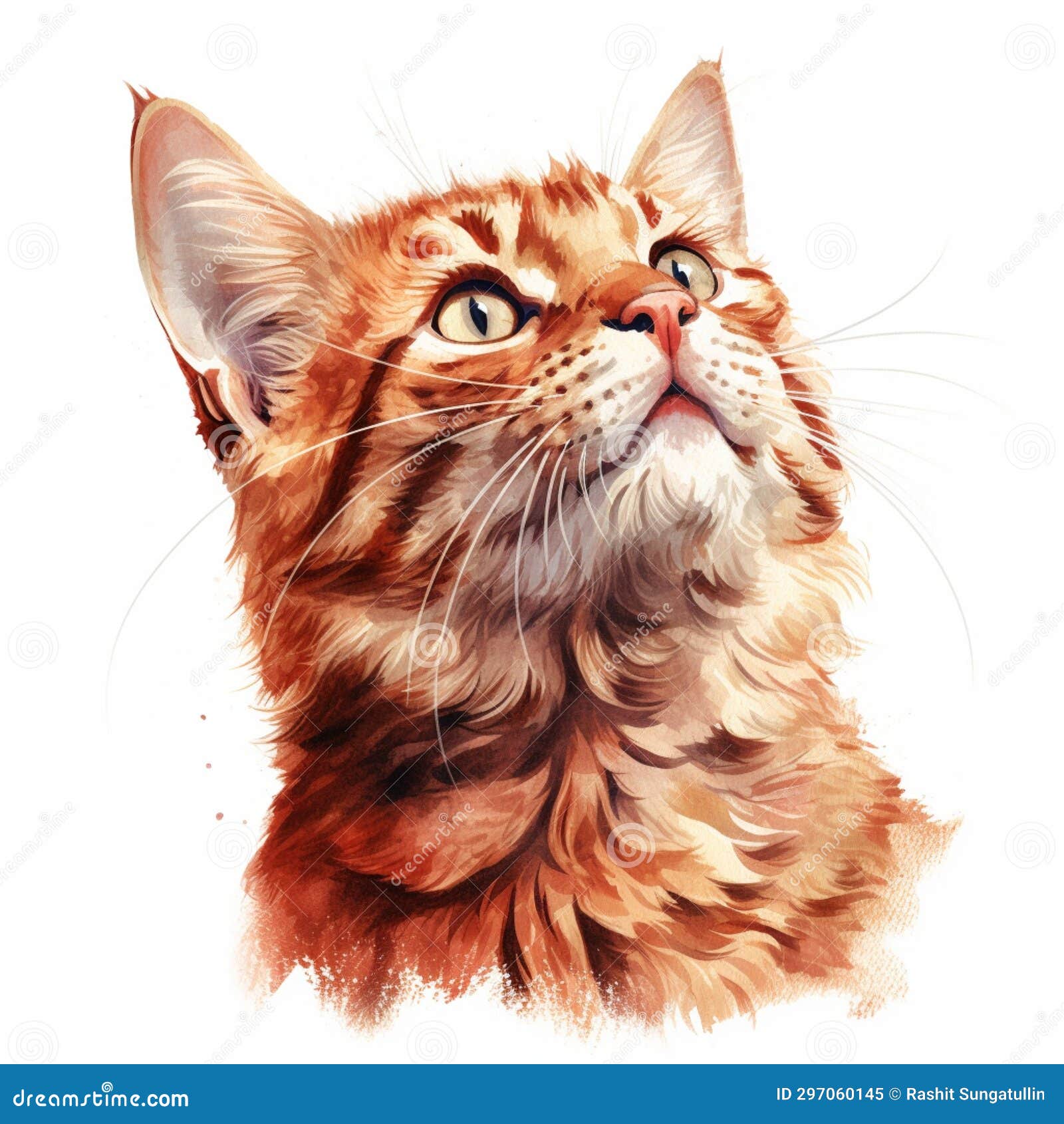 Drawing of a Serious Cat Looking Up Stock Illustration - Illustration ...
