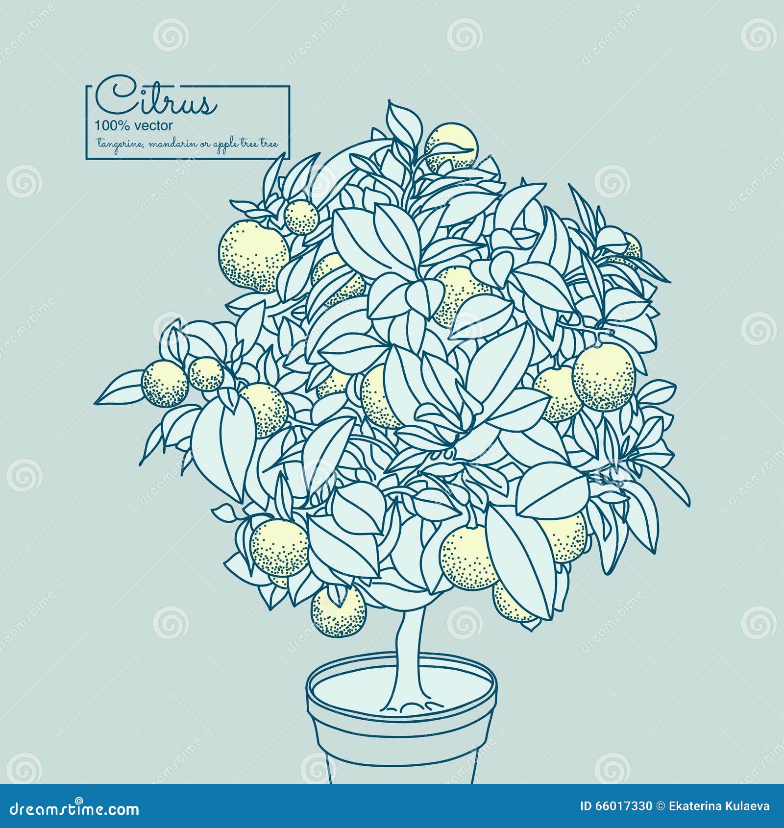 Drawing of a Small Lemon Citrus Tree in a Pot in Contour Style Stock ...