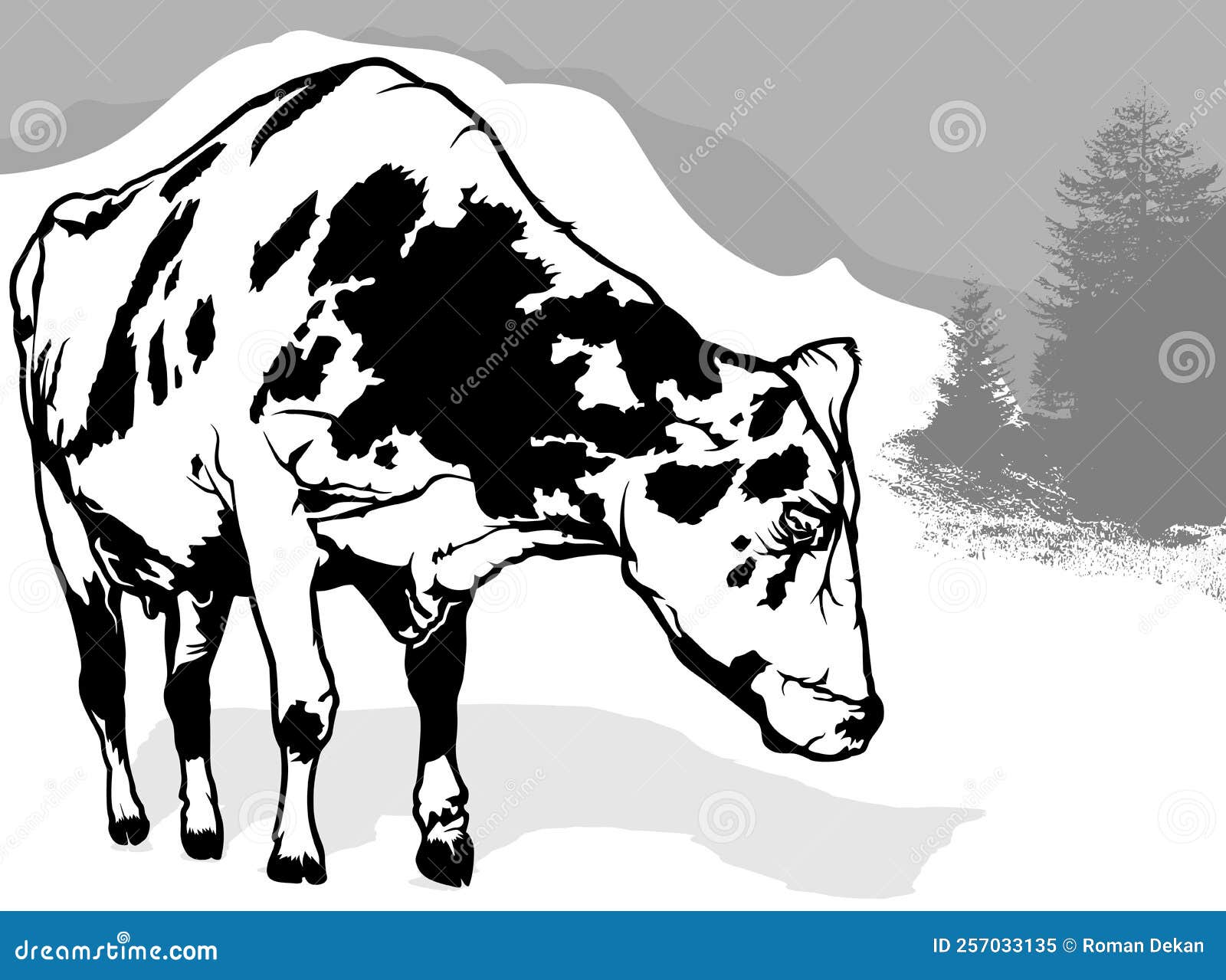 Drawing of Spotted Dairy Cow from Front View Stock Vector ...
