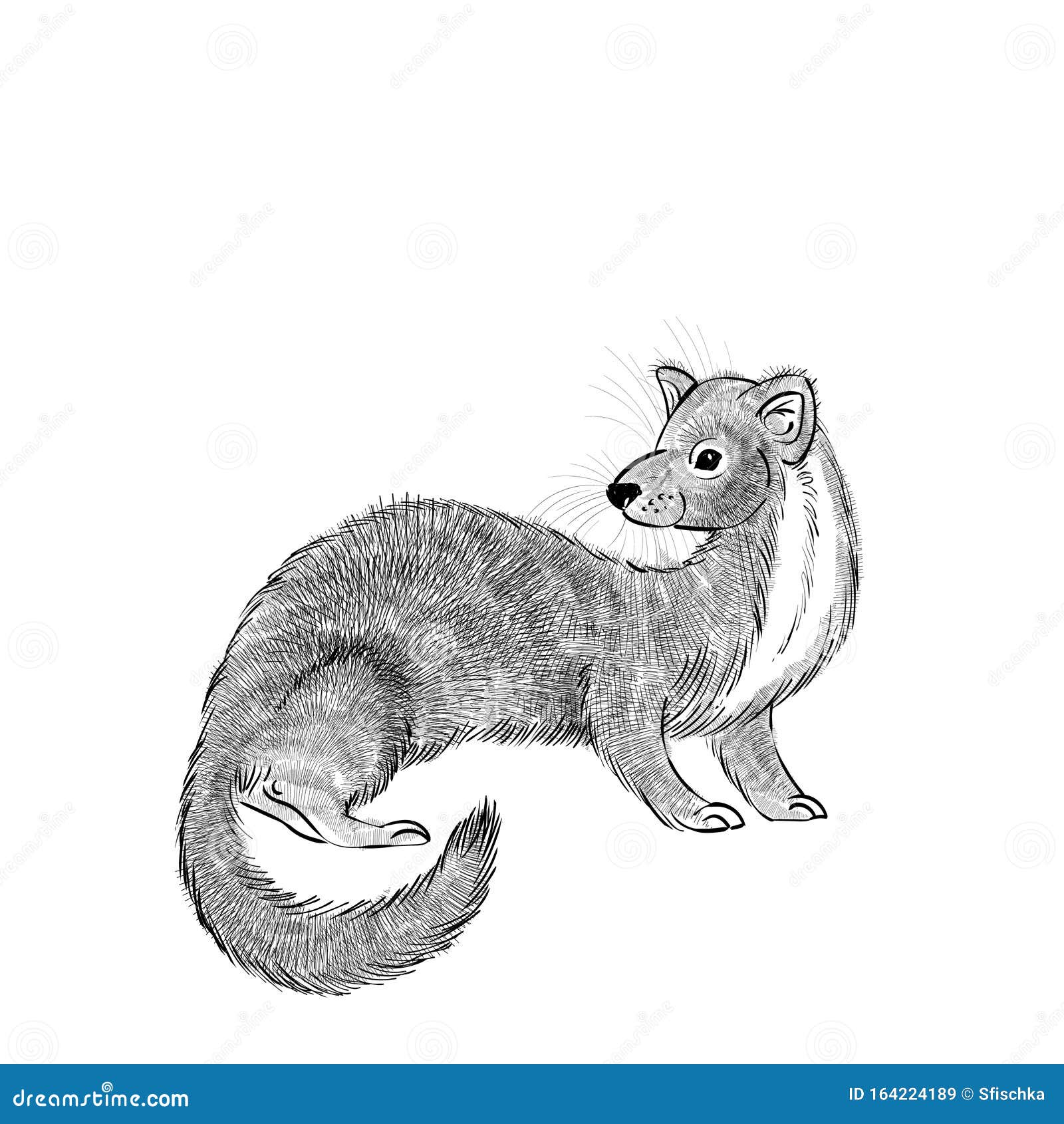 Marten Cartoons, Illustrations & Vector Stock Images - 2311 Pictures to ...