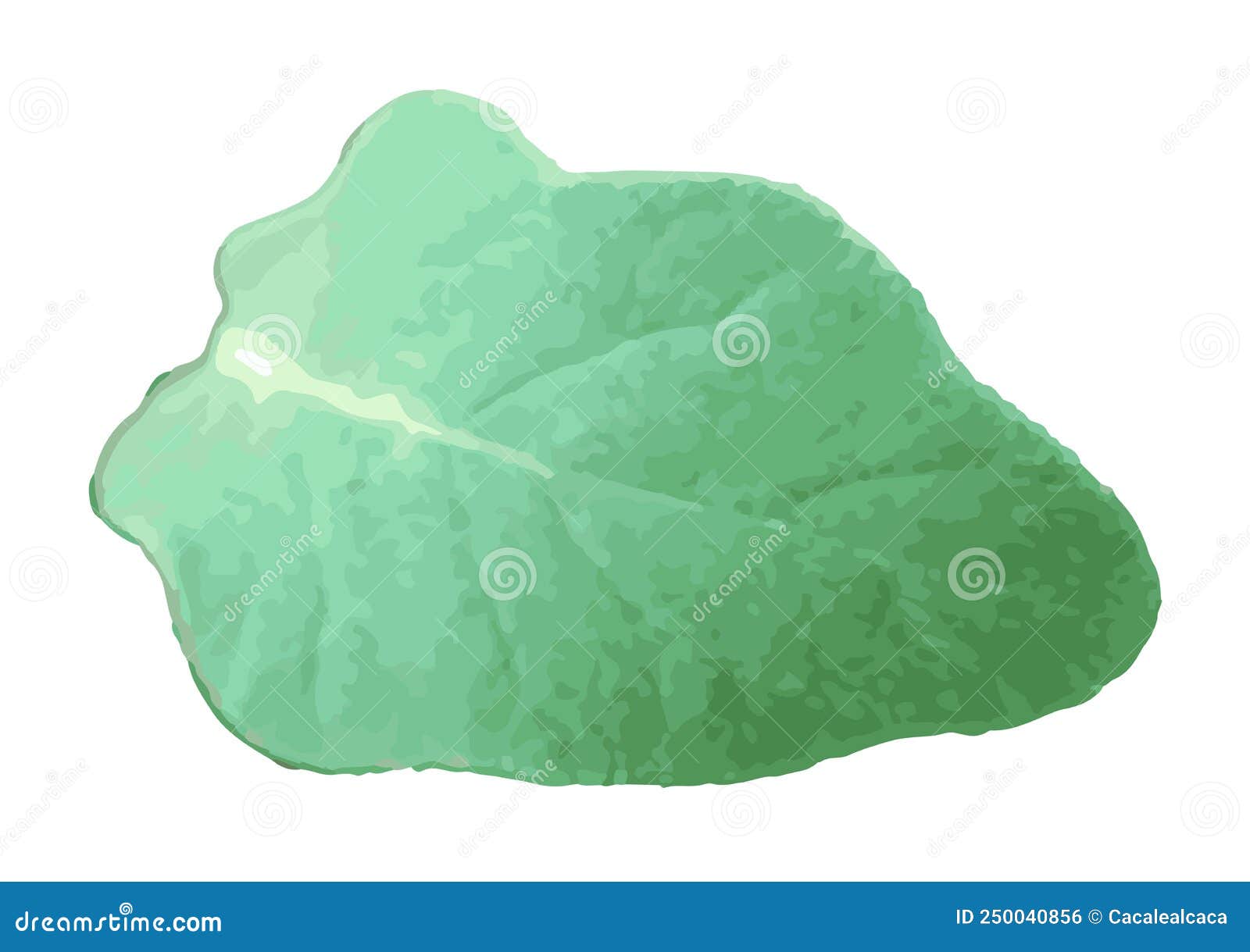 Drawing Of The Structure Of A Green Leaf Of A Plant. Eggplant Leaf ...