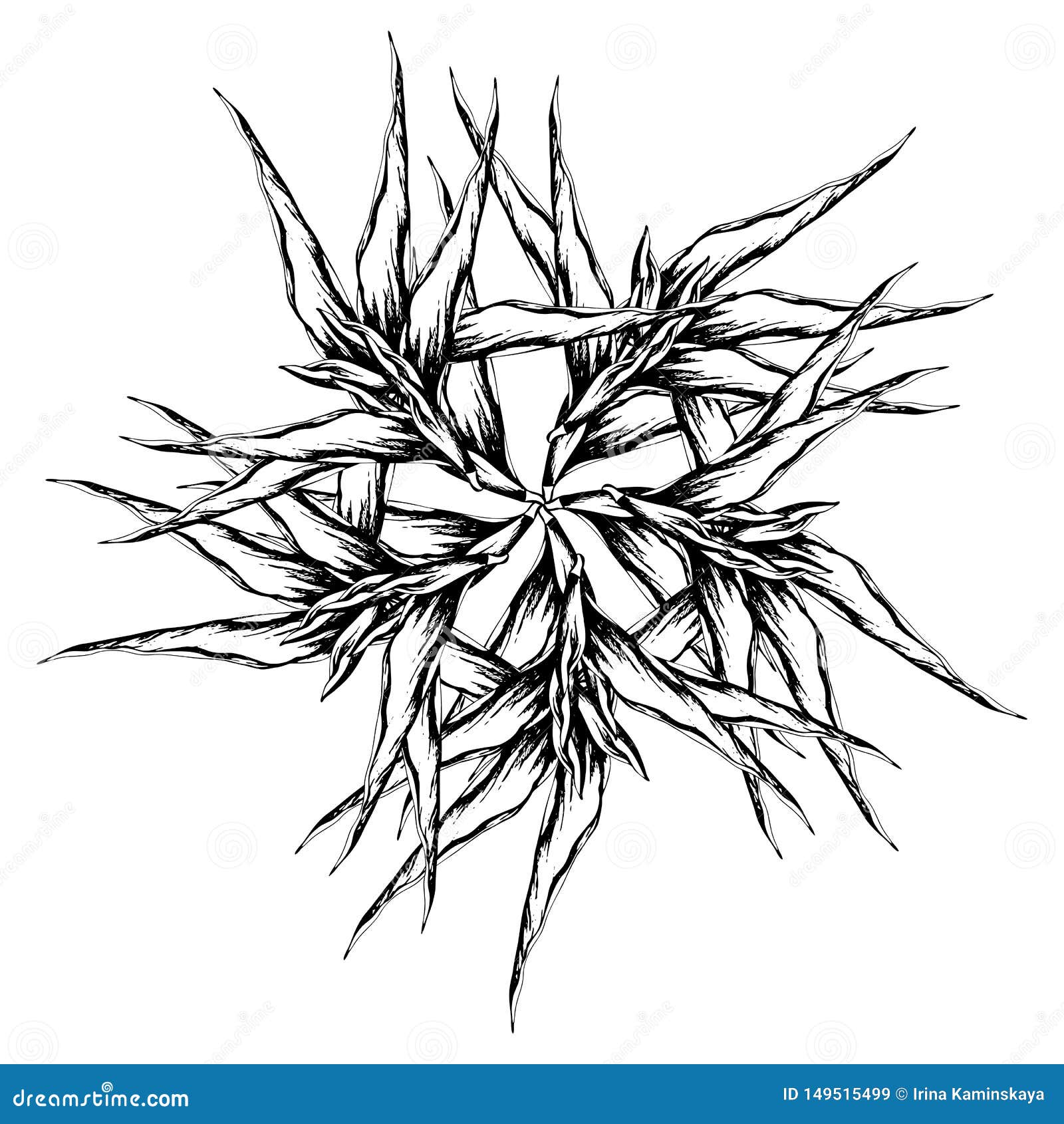 Drawing for a Tattoo Drawn with Ink by Hand. Sharp Flower. Logo Stock ...