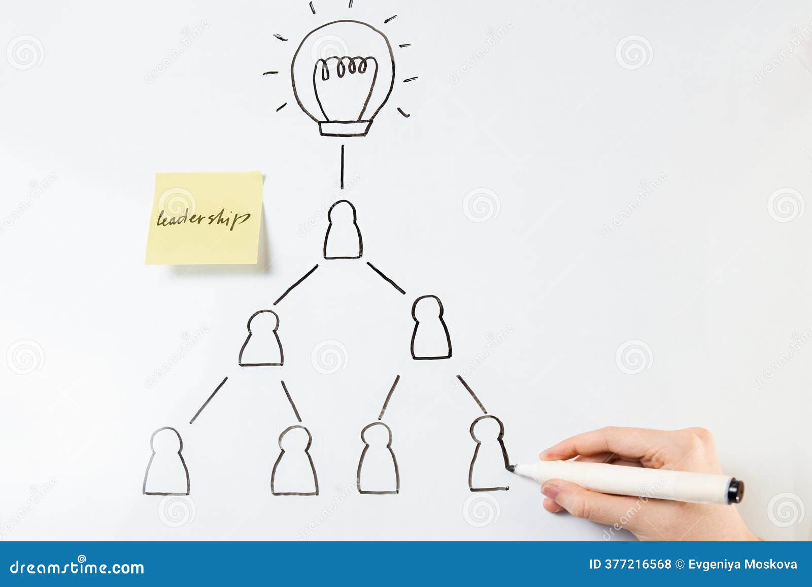 Drawing Team Hierarchy On Whiteboard With Leadership Note Stock Photo ...