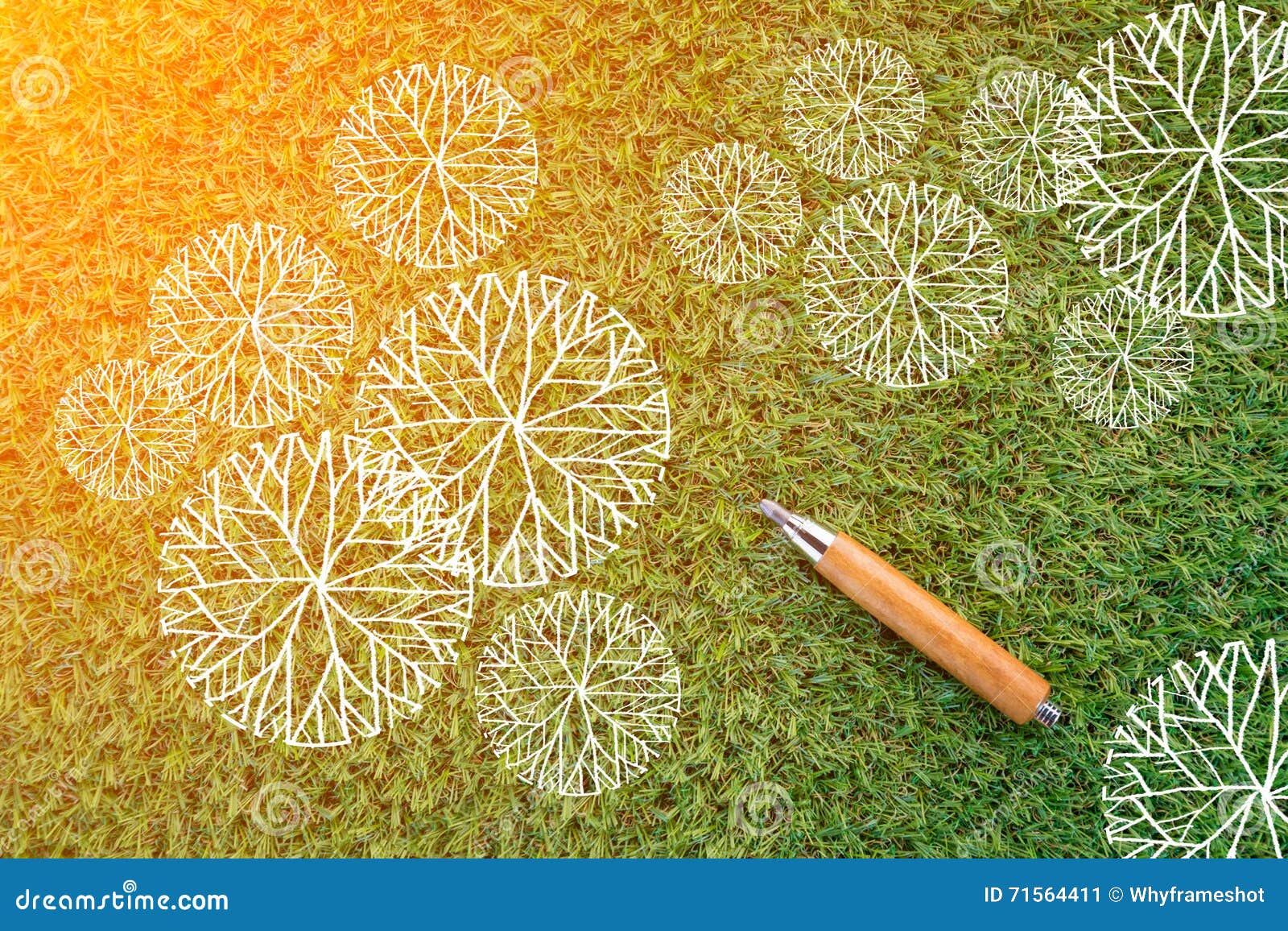 Drawing of Top View of Tree on Green Grass Background Stock ...