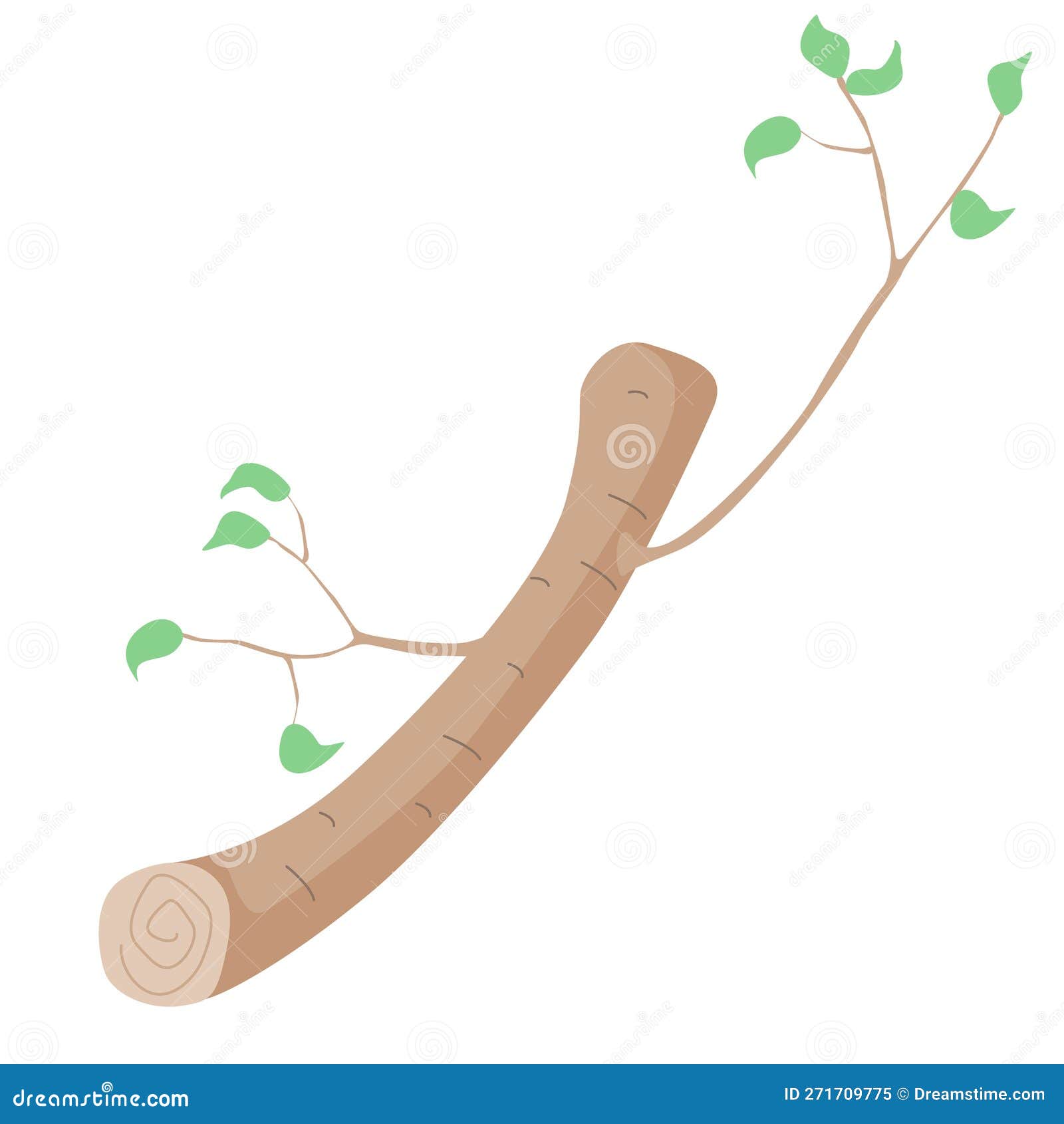 Drawing Tree Branch with Small Branches and Green Leaves, Vector ...