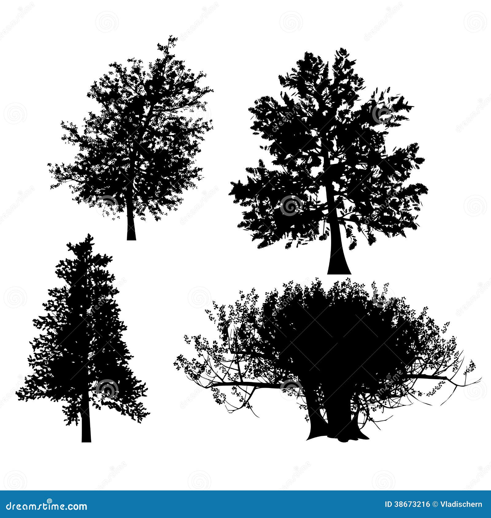 Drawing of the tree vector stock vector. Illustration of pine - 38673216