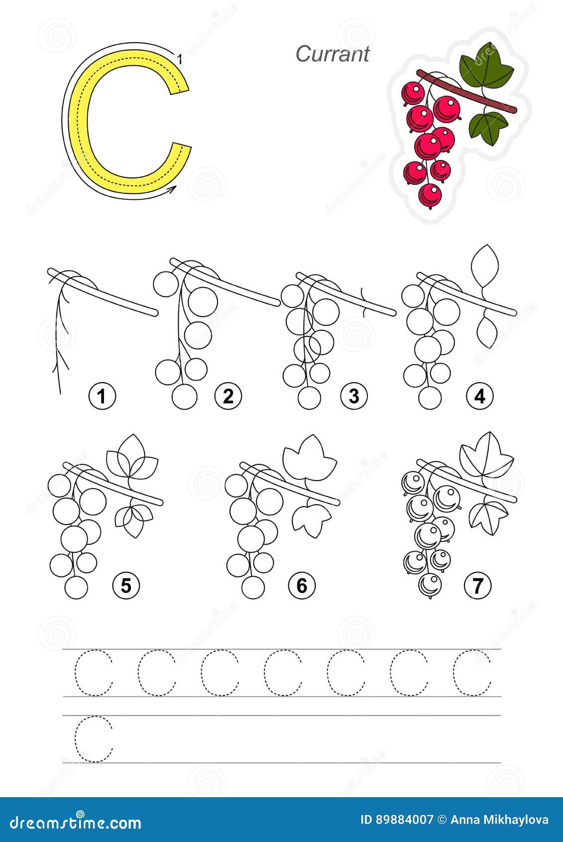 Drawing Tutorial. Game for Letter C. the Red Currant. Stock Vector ...