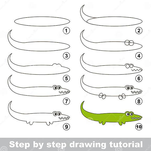 Drawing Tutorial. How To Draw an Alligator Stock Vector - Illustration ...
