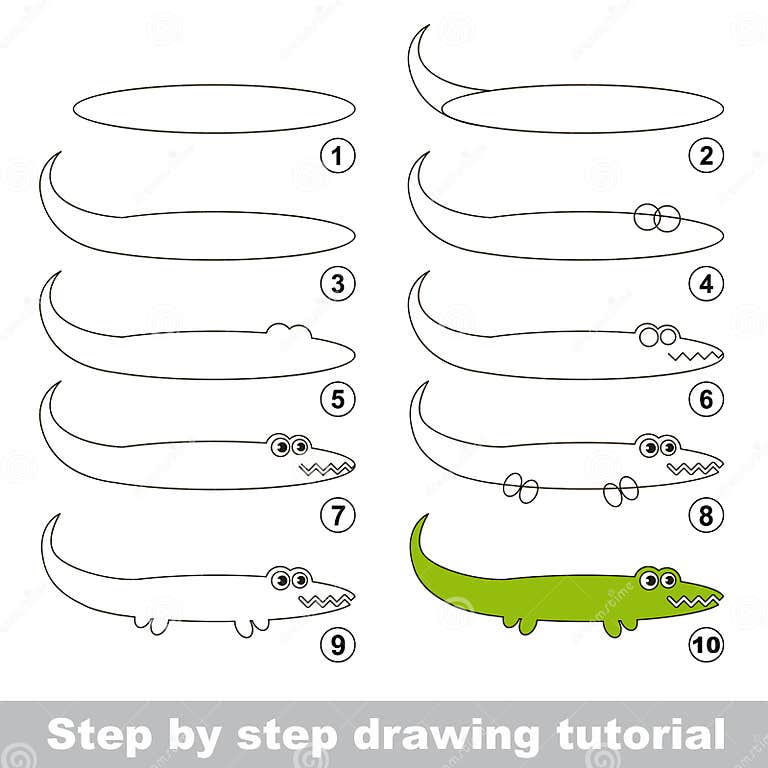 Drawing Tutorial. How To Draw an Alligator Stock Vector - Illustration ...