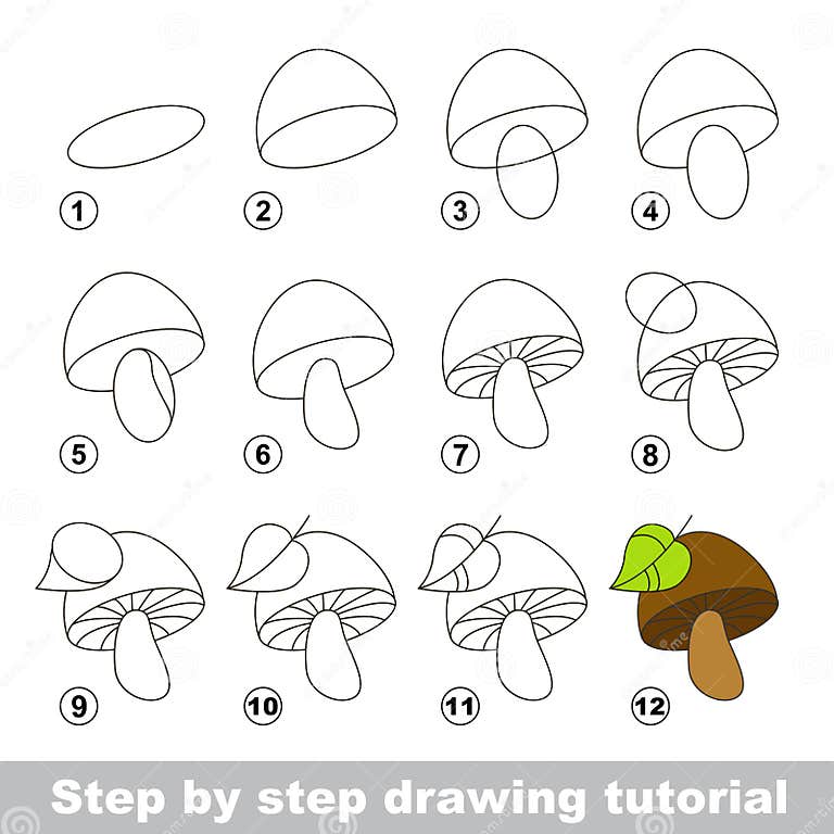 Drawing Tutorial. How To Draw a Mushroom Stock Vector - Illustration of ...