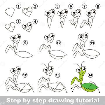 Drawing Tutorial. the Mantis. Stock Illustration - Illustration of ...