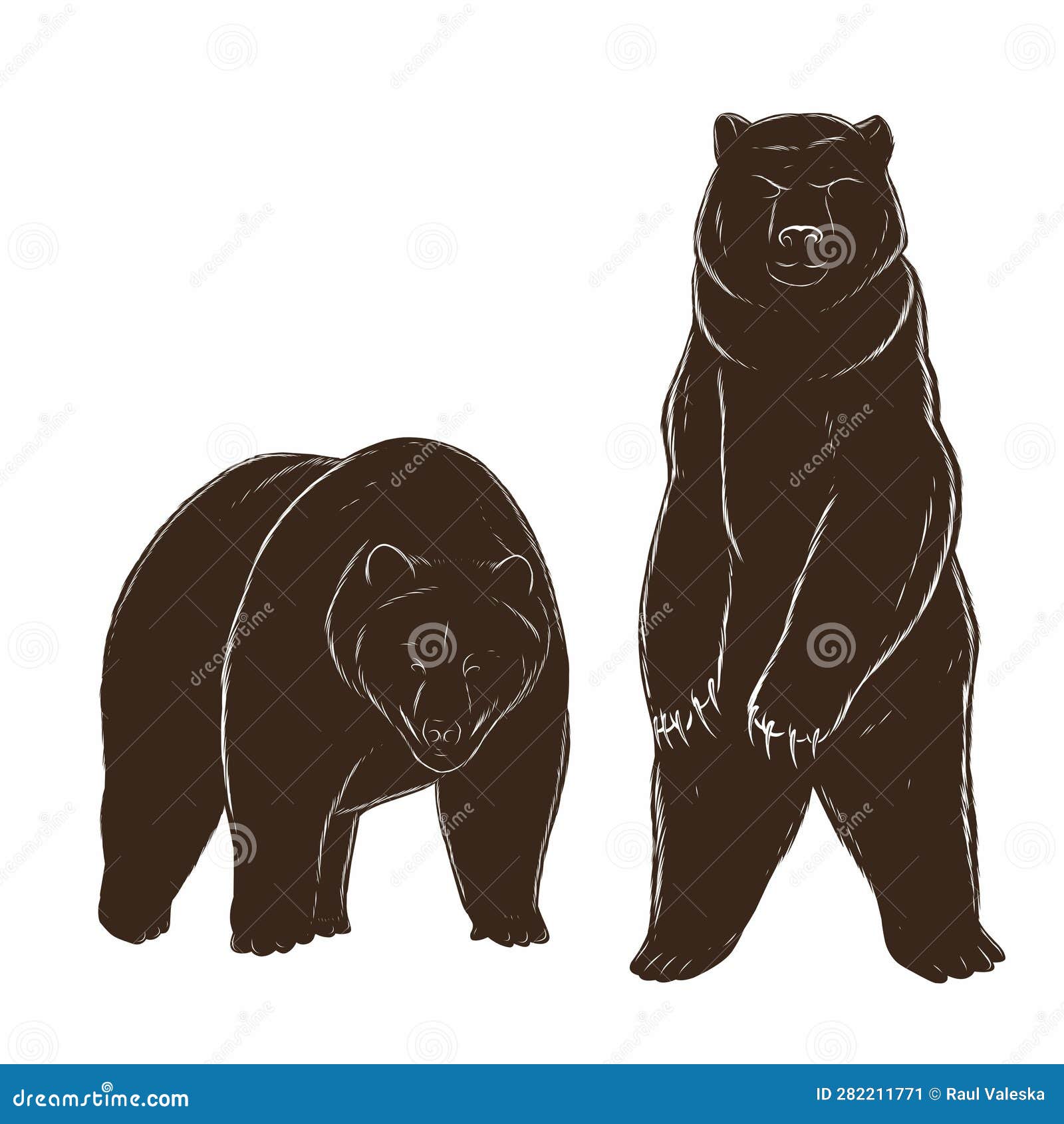 A drawing of two bears stock vector. Illustration of symbol - 282211771